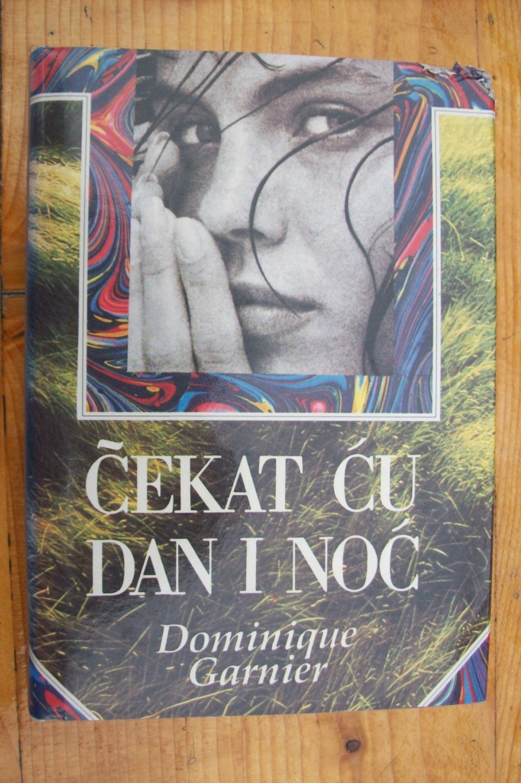 ĆEKAT ČU DAN I NOĆ - Dominique Garnier