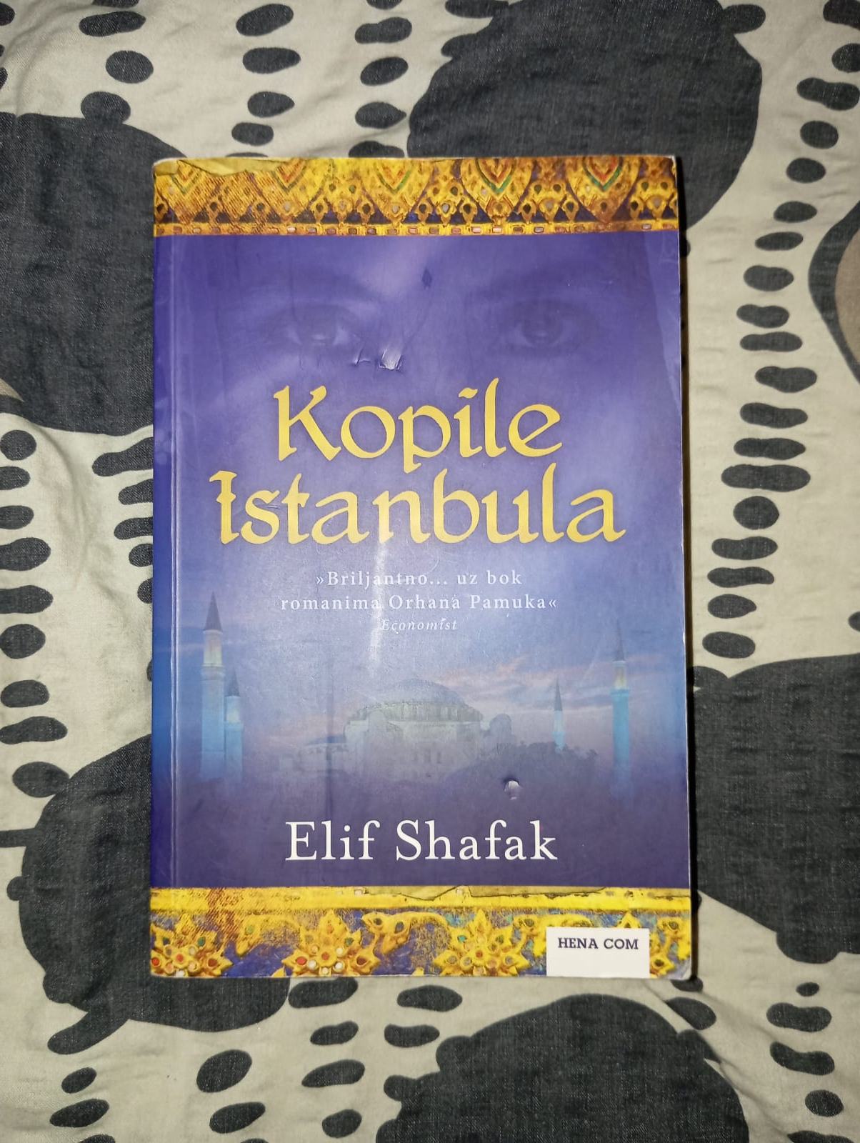 Elif Shafak - Kopile Istanbula