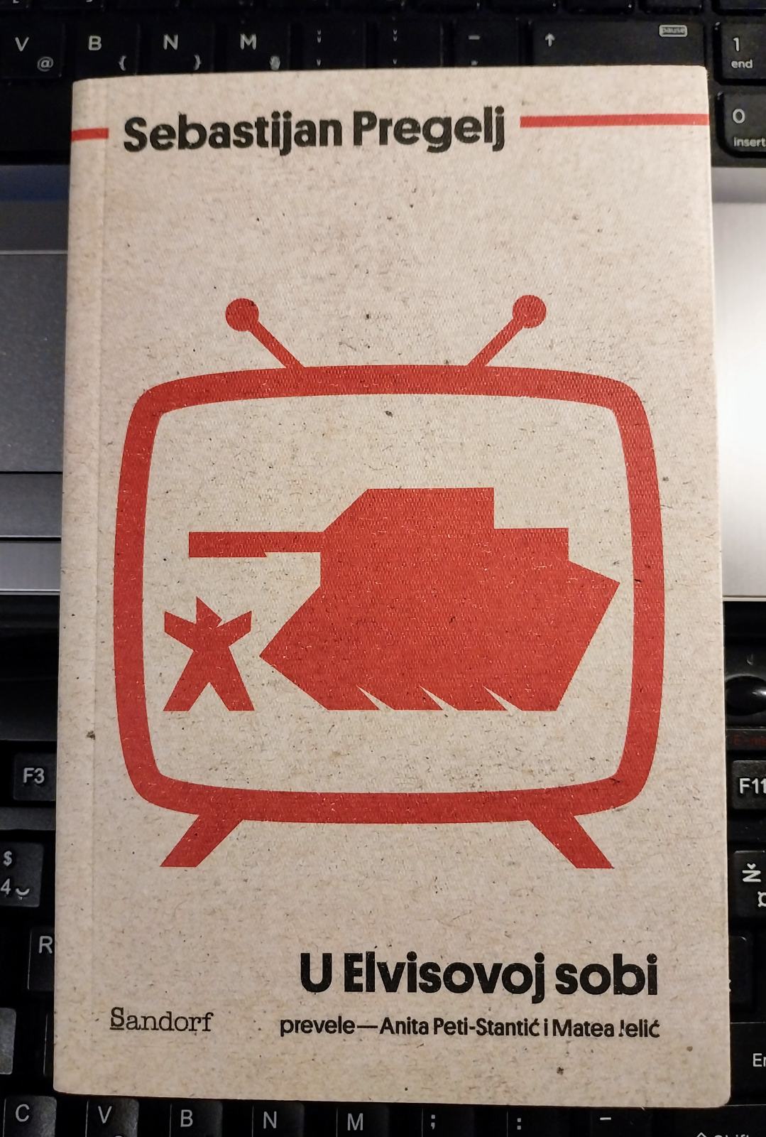U ELVISOVOJ SOBI - Sebastijan Pregelj