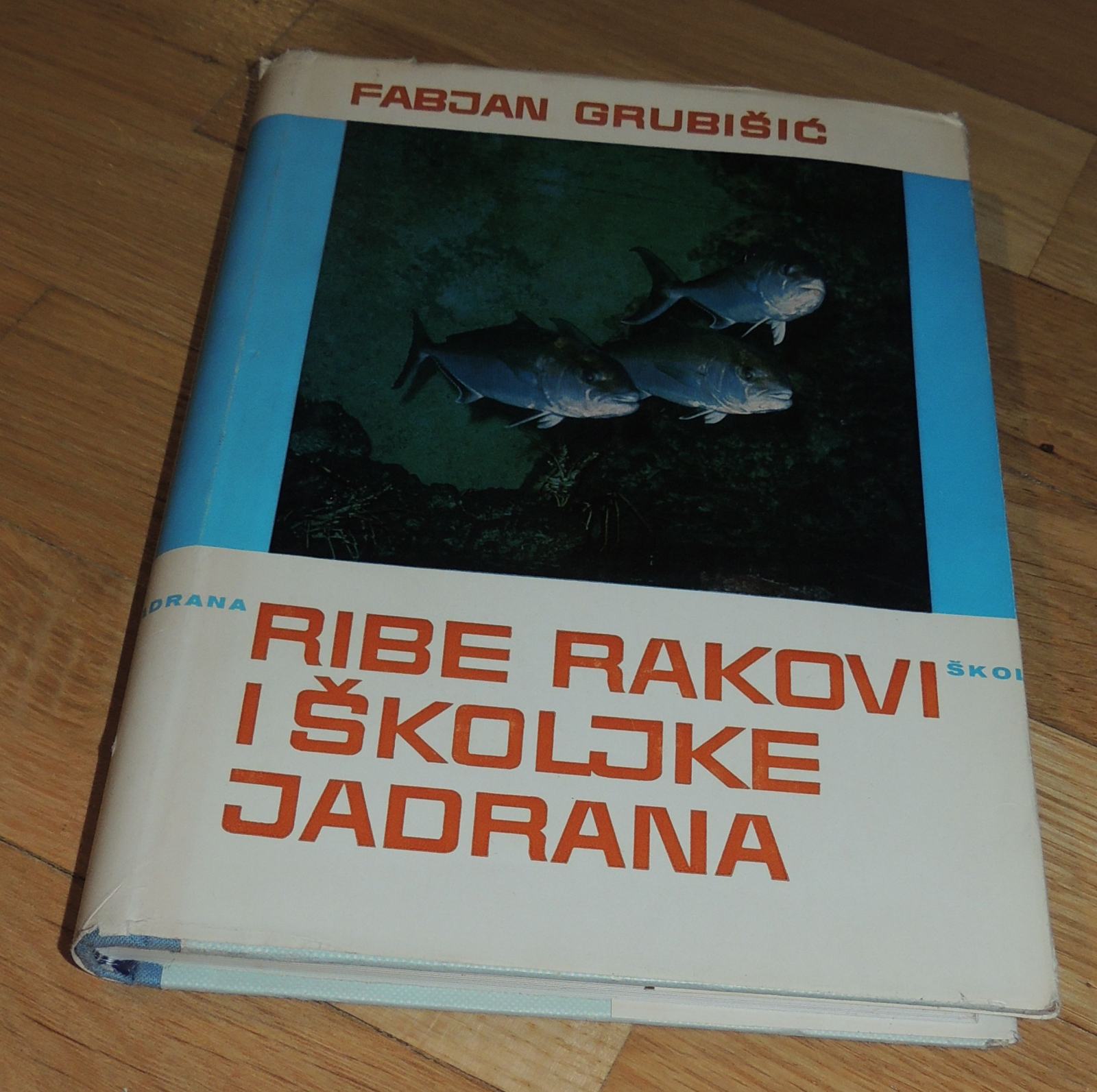 Fabjan Grubišić Ribe rakovi i školjke Jadrana