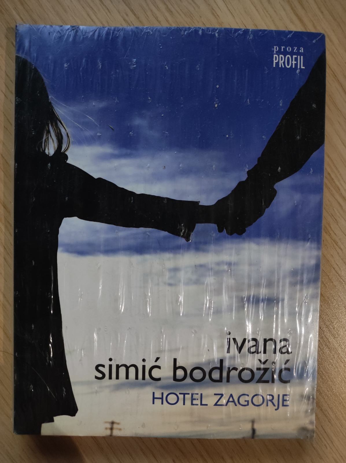 HOTEL ZAGORJE :Ivana Simić Bodrožić