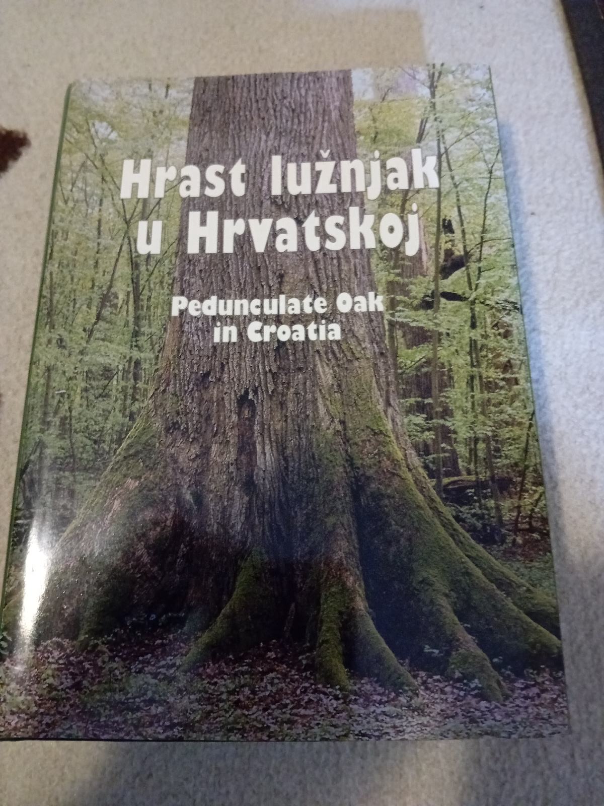 hrast lužnjak u hrvatskoj