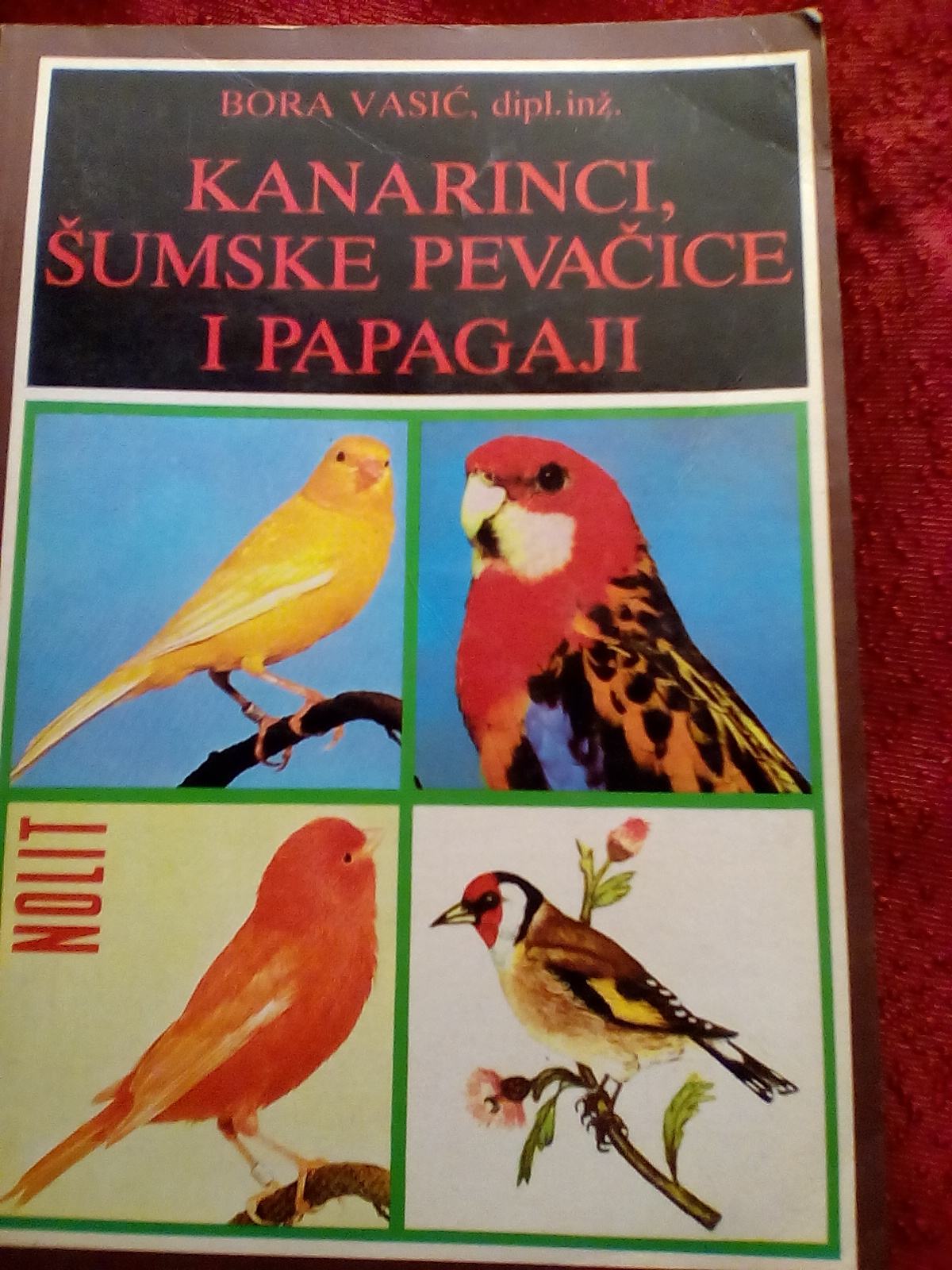 KNjIGA-KANARINCI,Šumske pjevačice i papagaji-Vasić