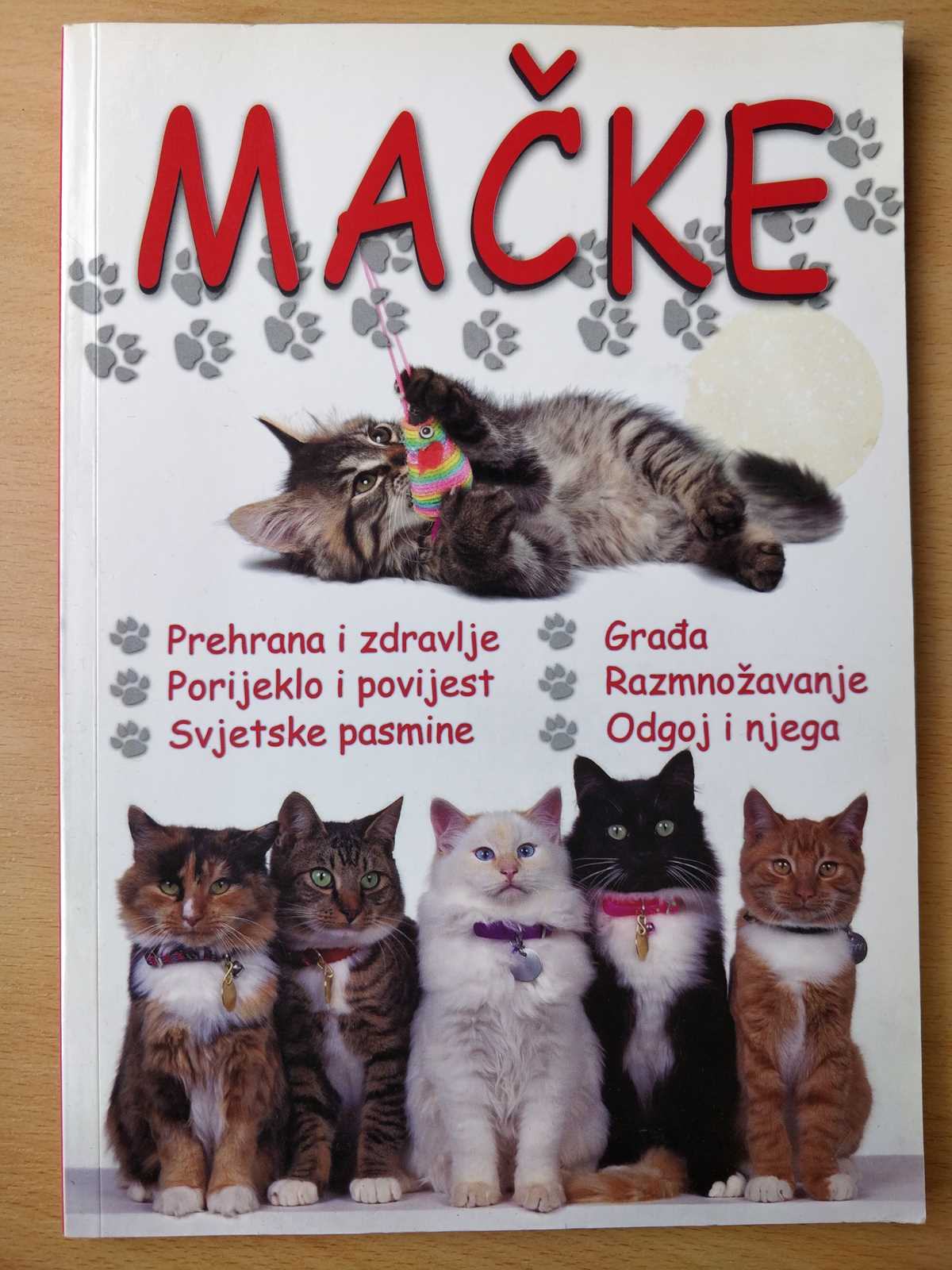 Mačke