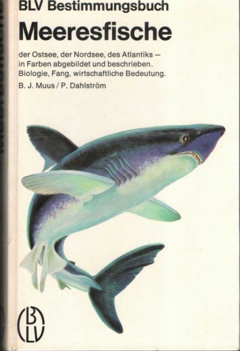 Meeresfische der Ostsee, der Nordsee, des Atlantiks