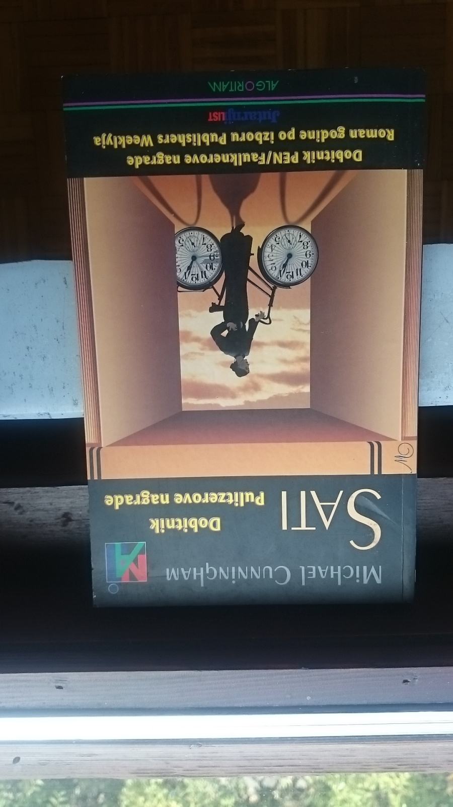 MICHAEL CUNNINGHAM- SATI