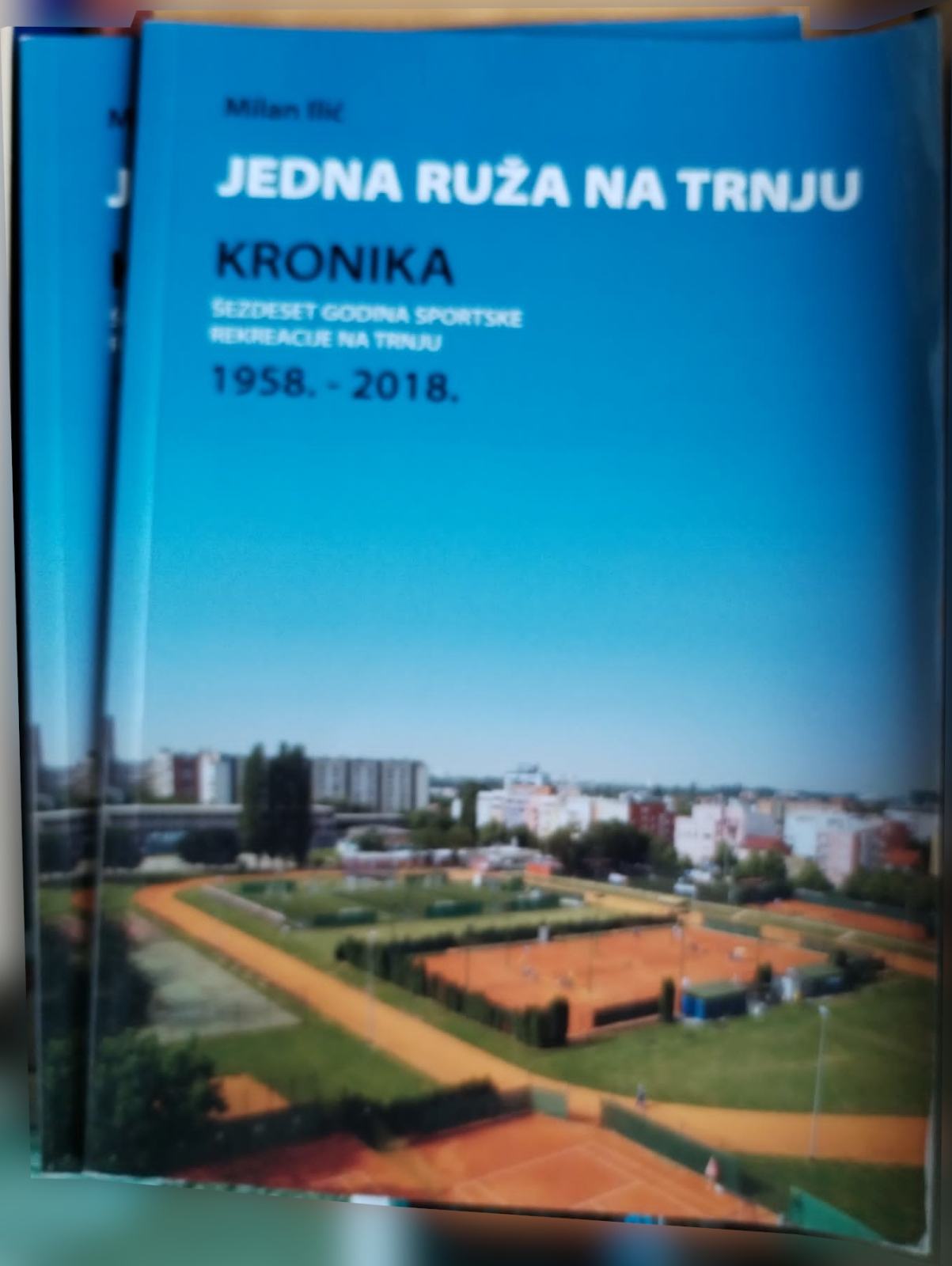Milan Ilić - Jedna ruža na Trnju : kronika