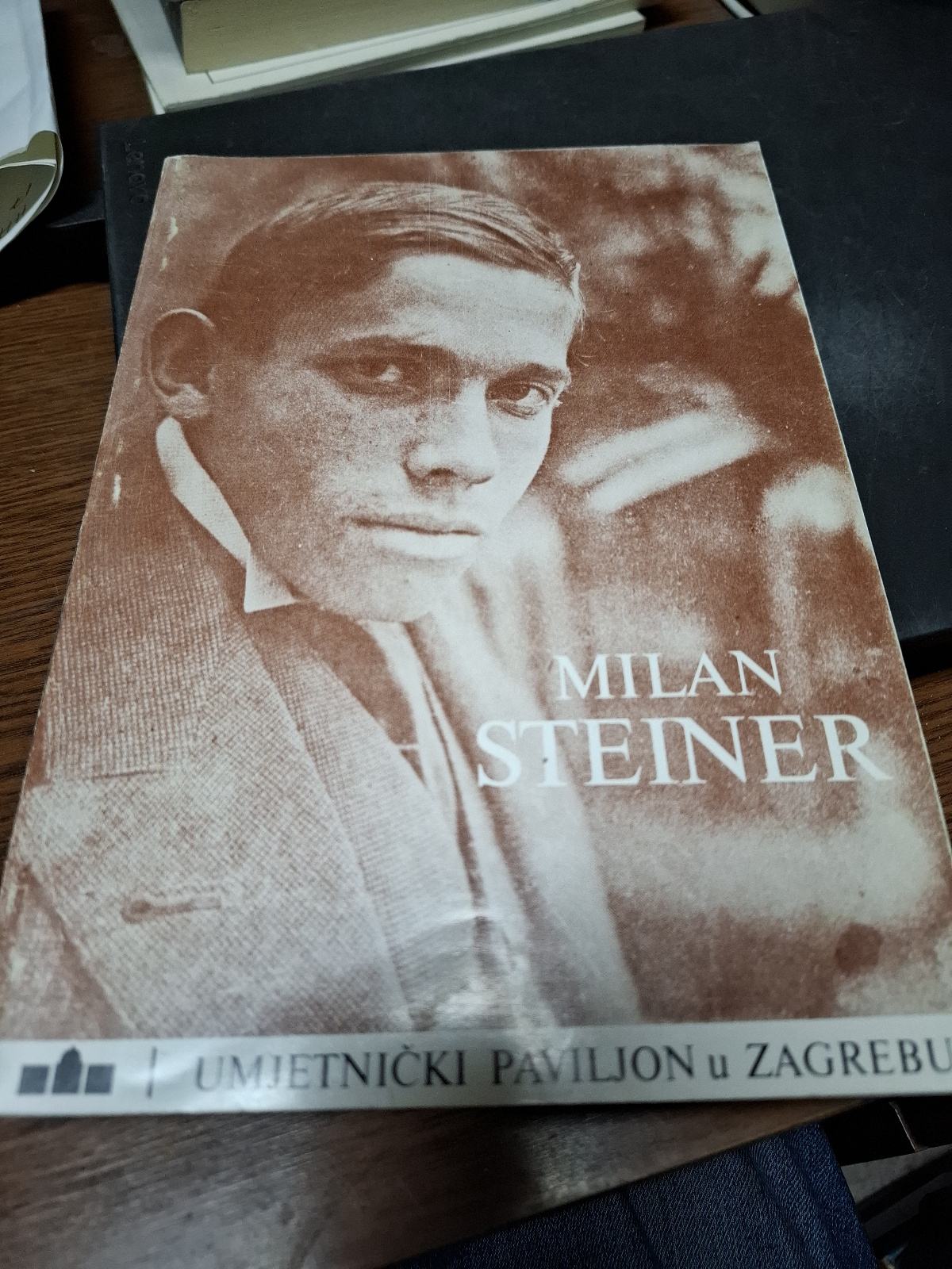 milan steiner 1894-1918