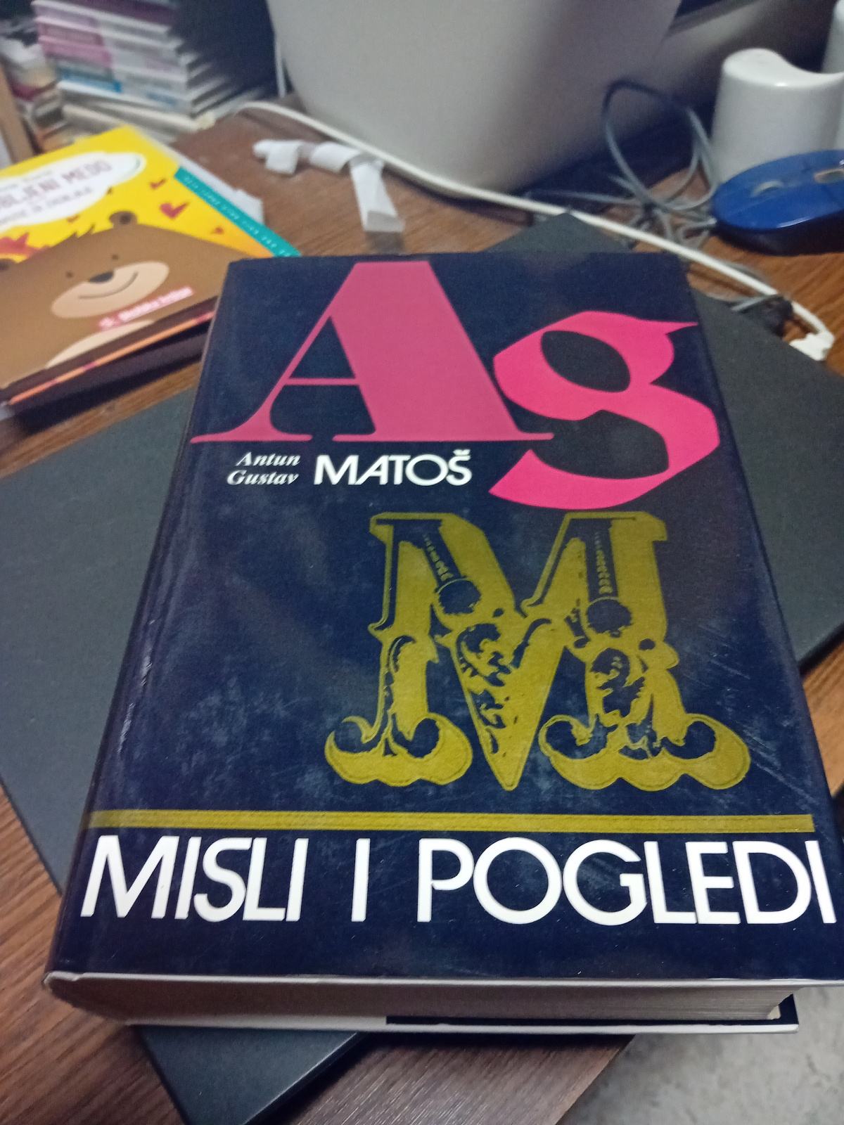 misli i pogledi matoš