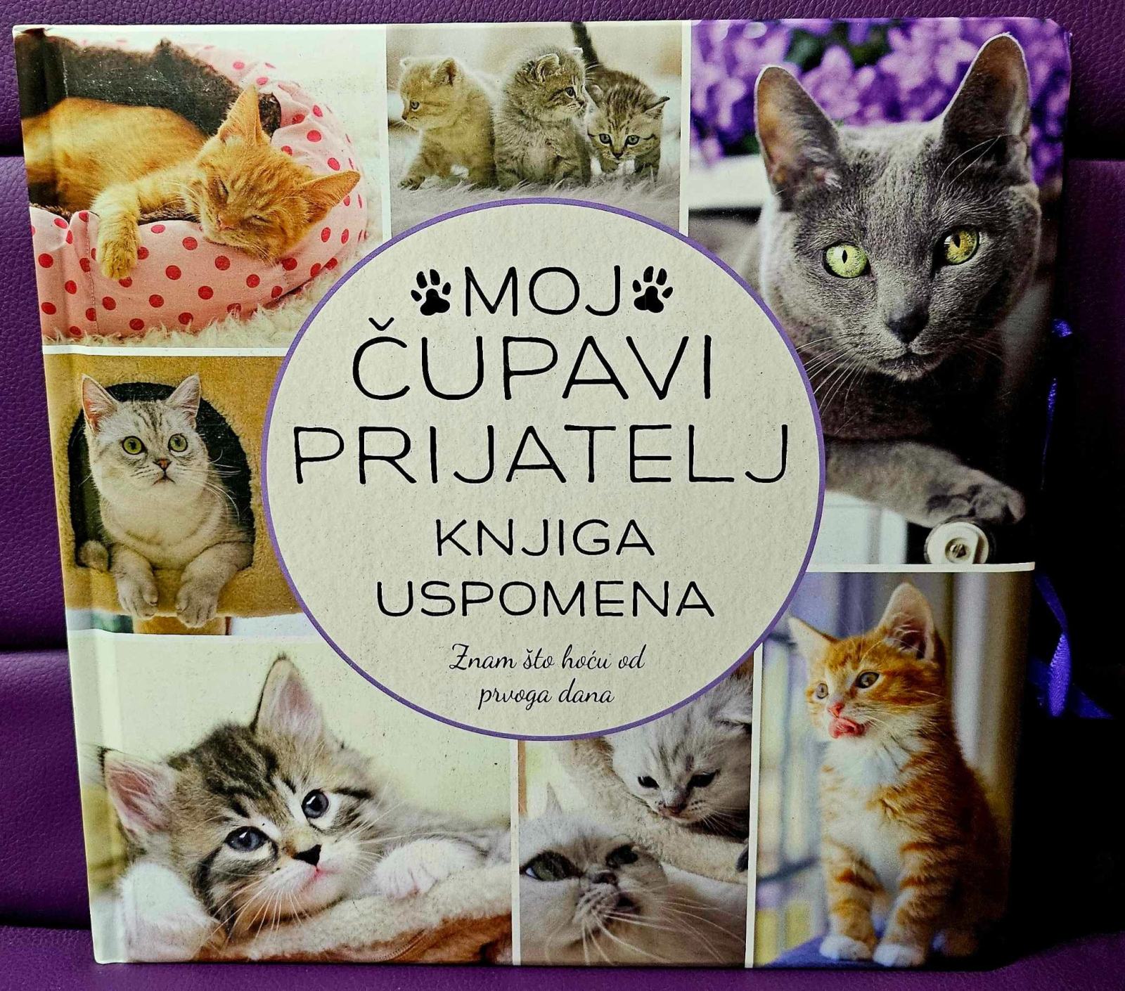 Moj čupavi prijatelj - Mačka