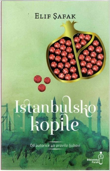 Safak Elif : Istanbulsko kopile
