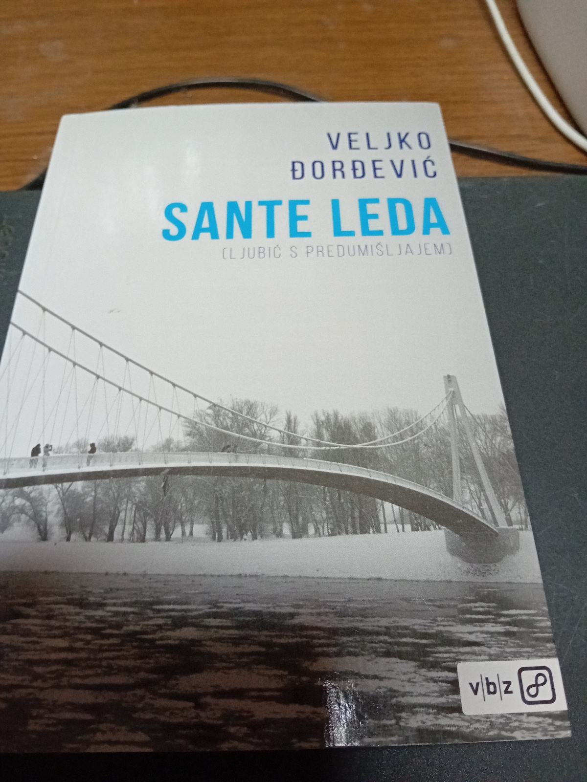 sante leda đorđevic
