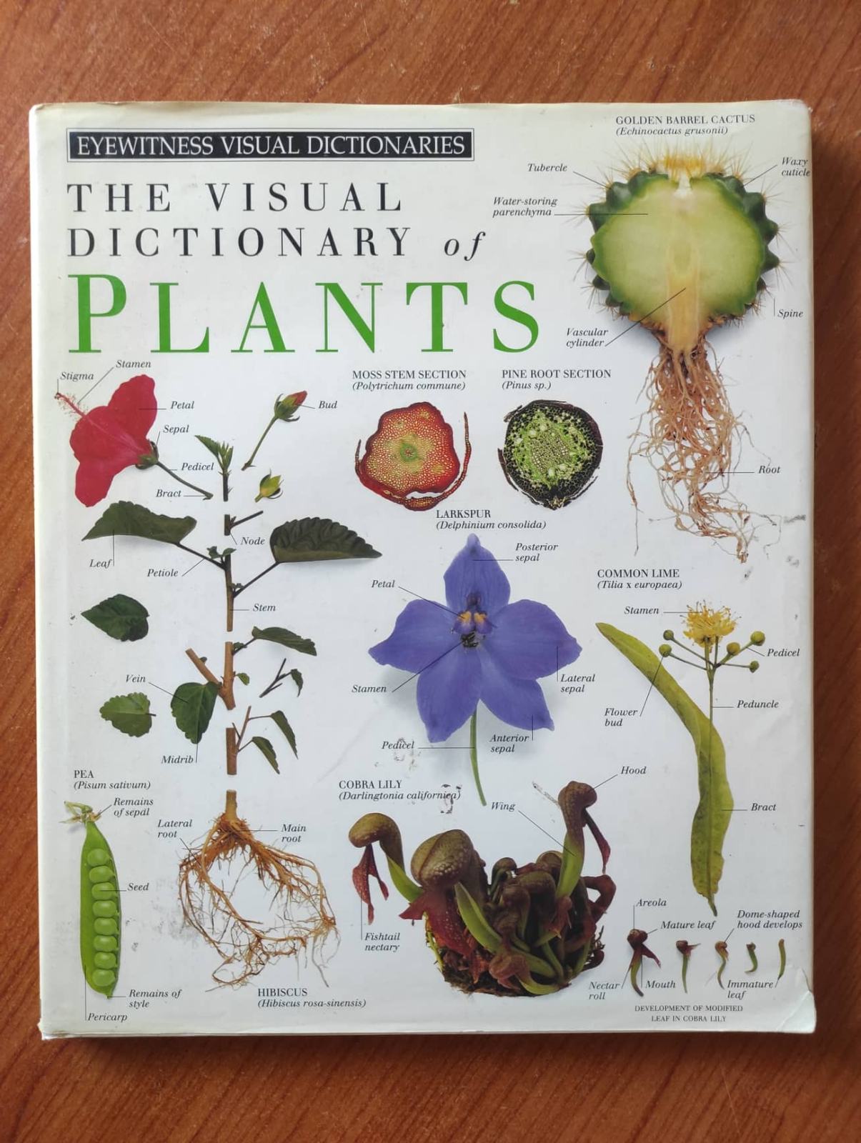 The visual dictionary of Plants