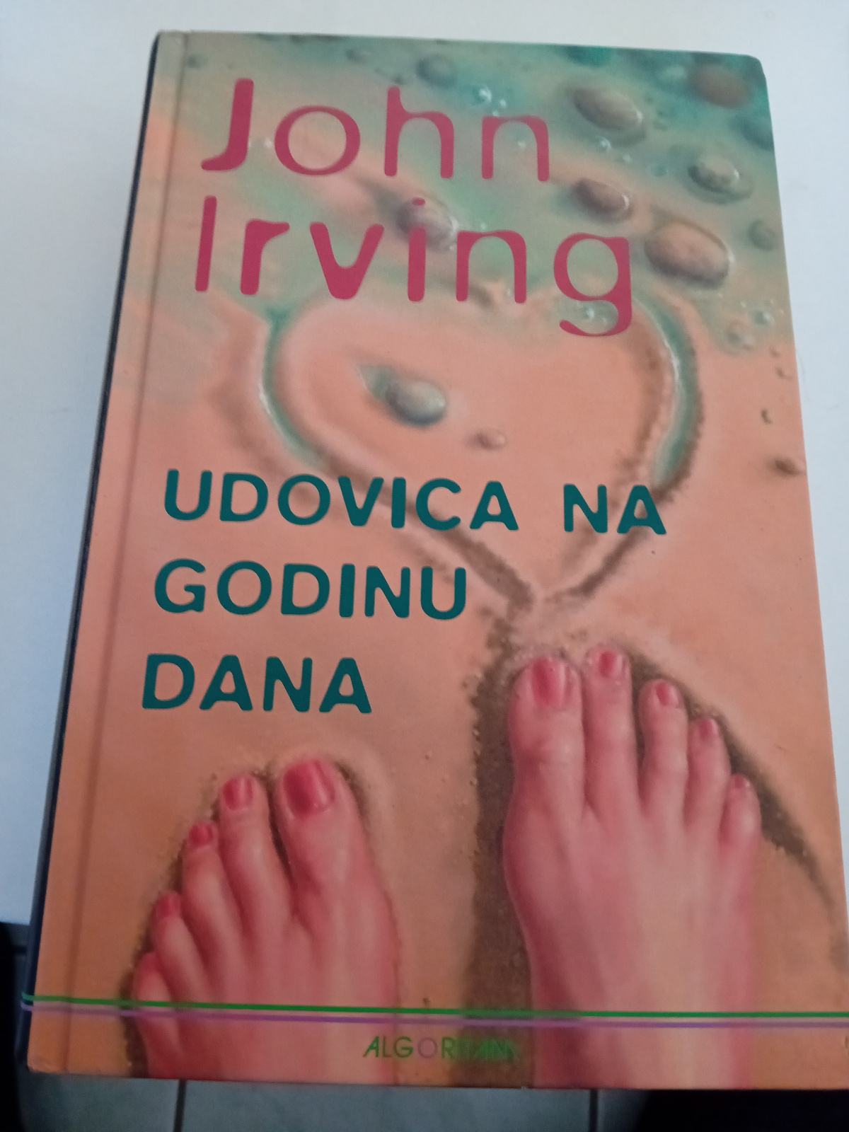 udovica na godinu dana irving