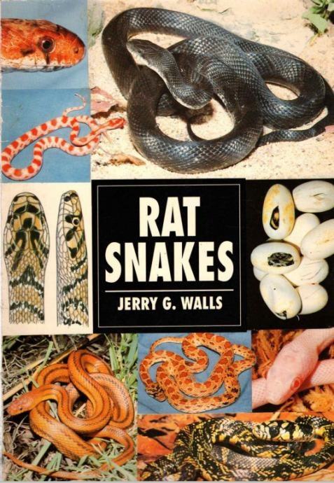Walls, Jerry G. : Rat Snakes
