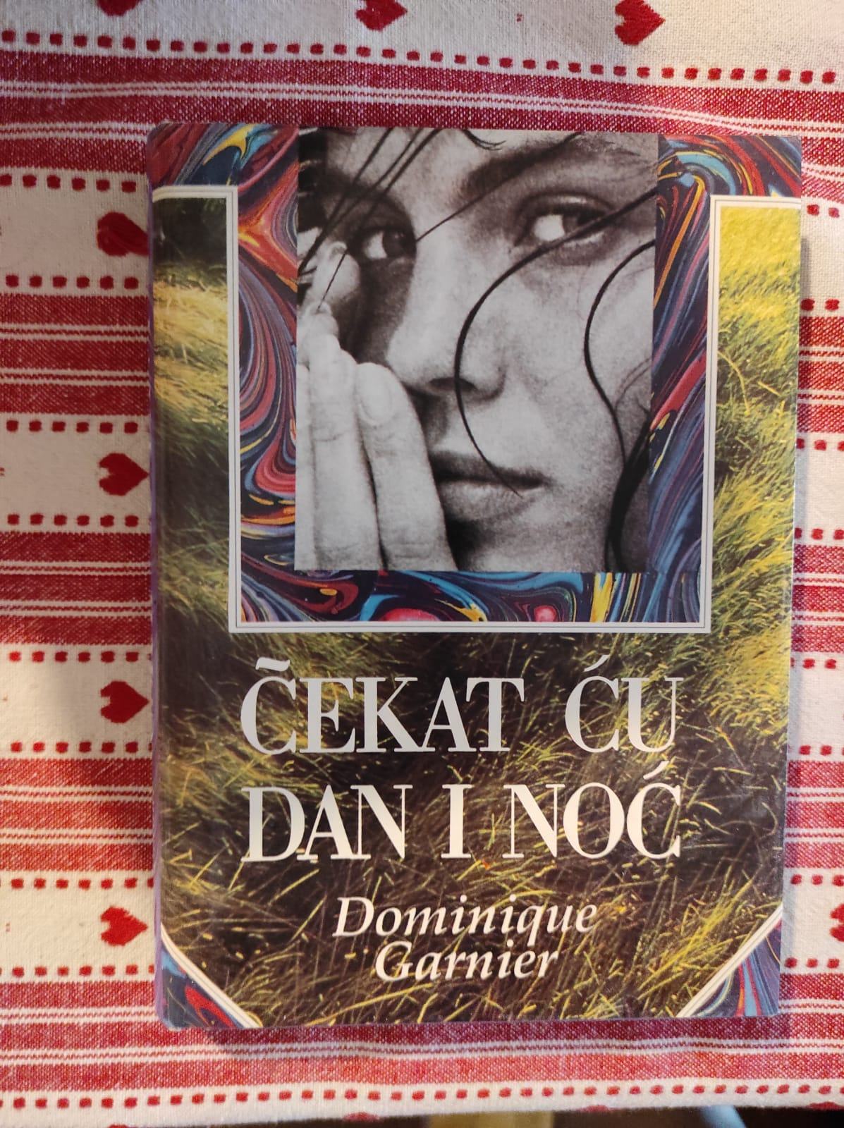 Čekat ću dan i noć - Dominique Garnier