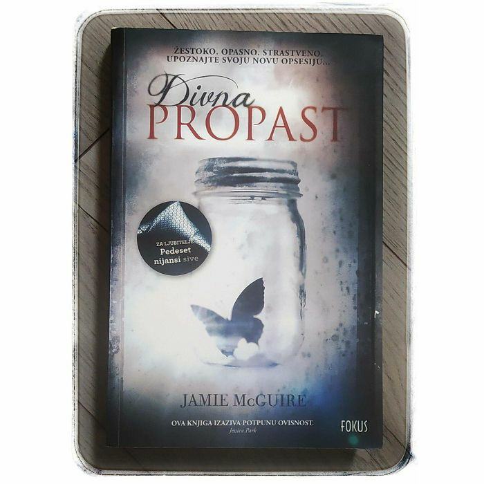 Divna propast Jamie McGuire