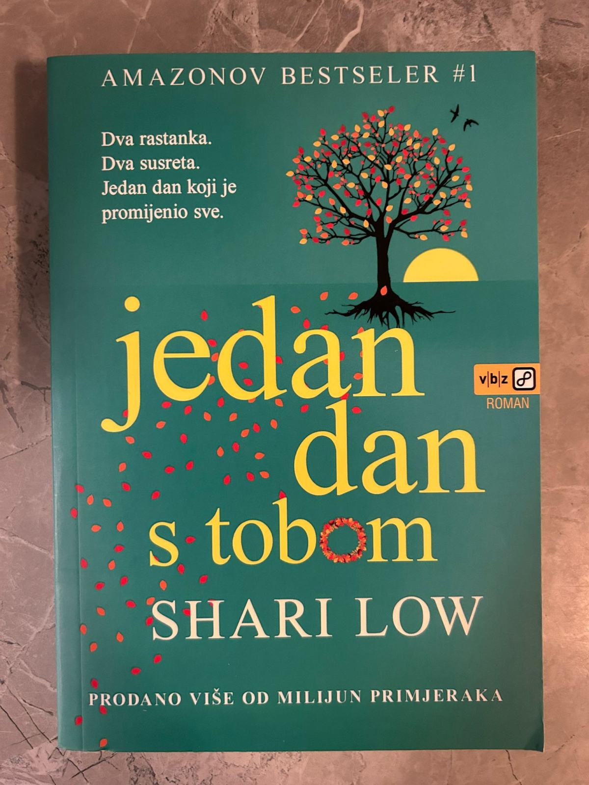 Shari Low - Jedan dan s tobom