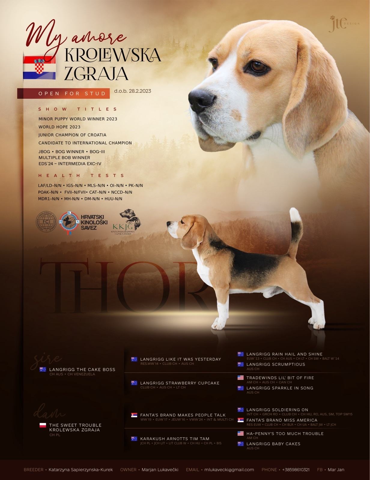 Bigl/Beagle za parenje