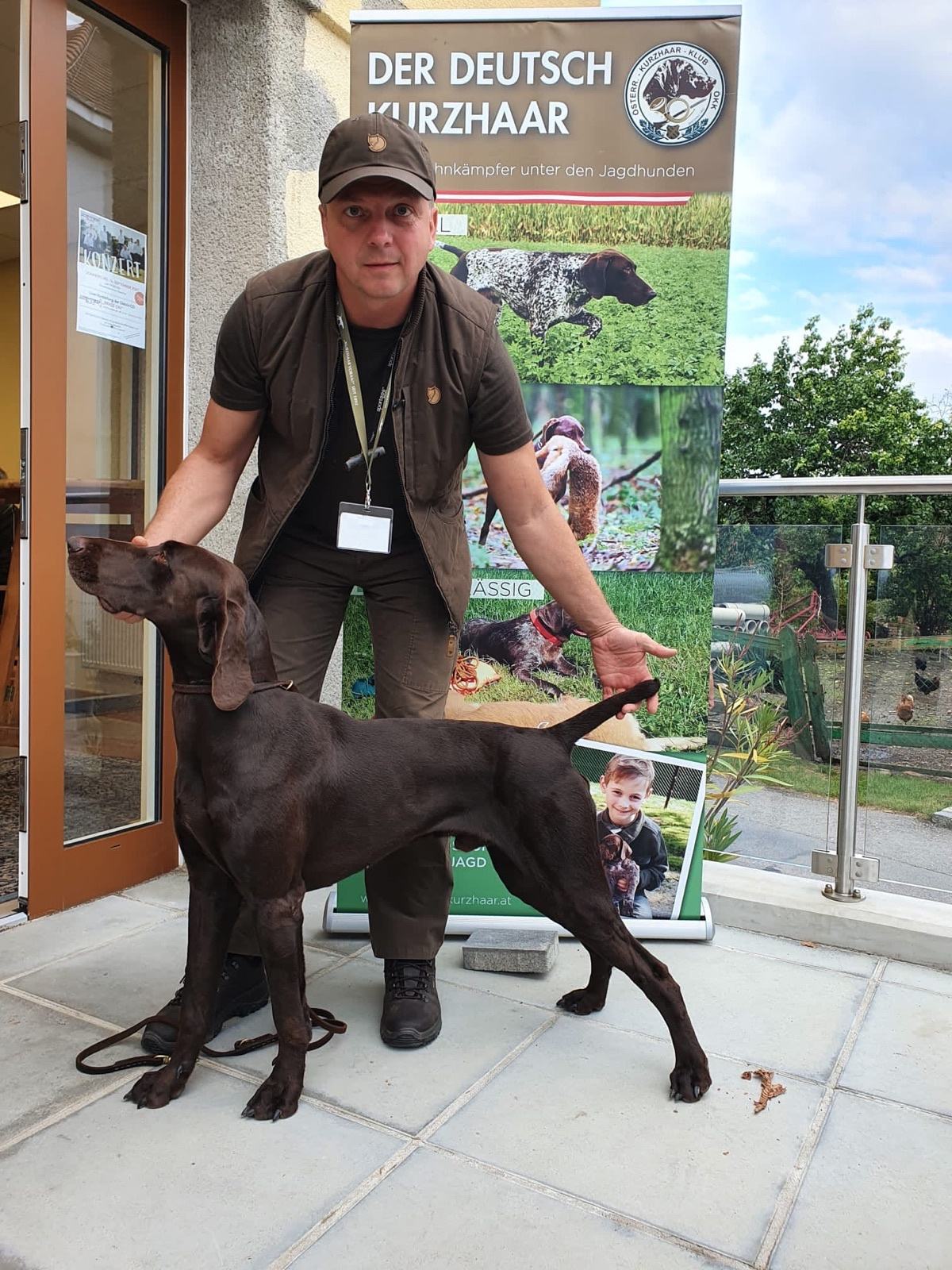 Njemački kratkodlaki ptičar, parenje