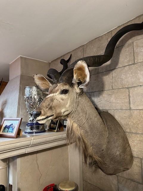 LOVAČKI TROFEJI AFRIKA, ŠKOTSKA, MAĐARSKA