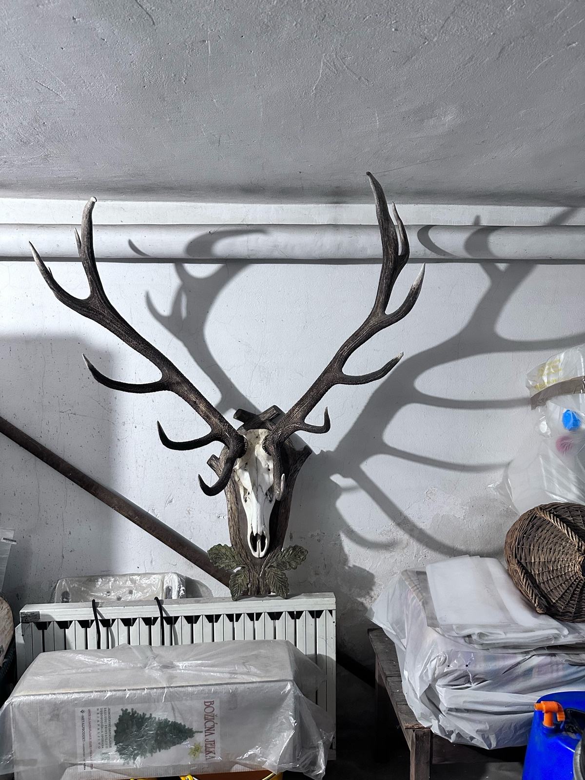 Rogovi 120cm, 10kg