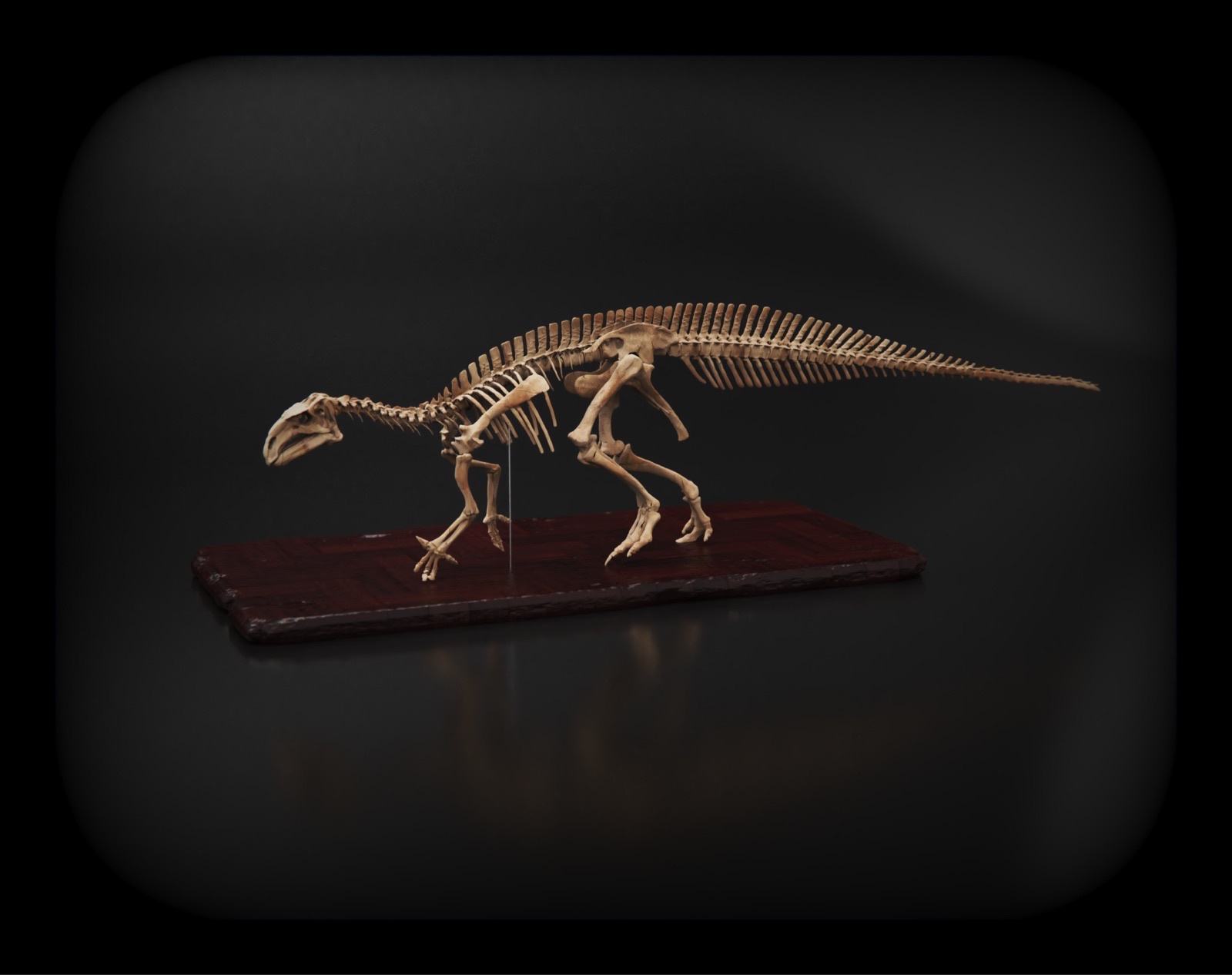 **AKCIJA**Iguanodon, kostur dinosaura 1/20