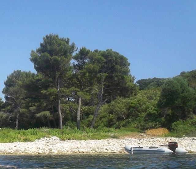 RIS Scorpio MAESTRAL 18 - PRODANO!