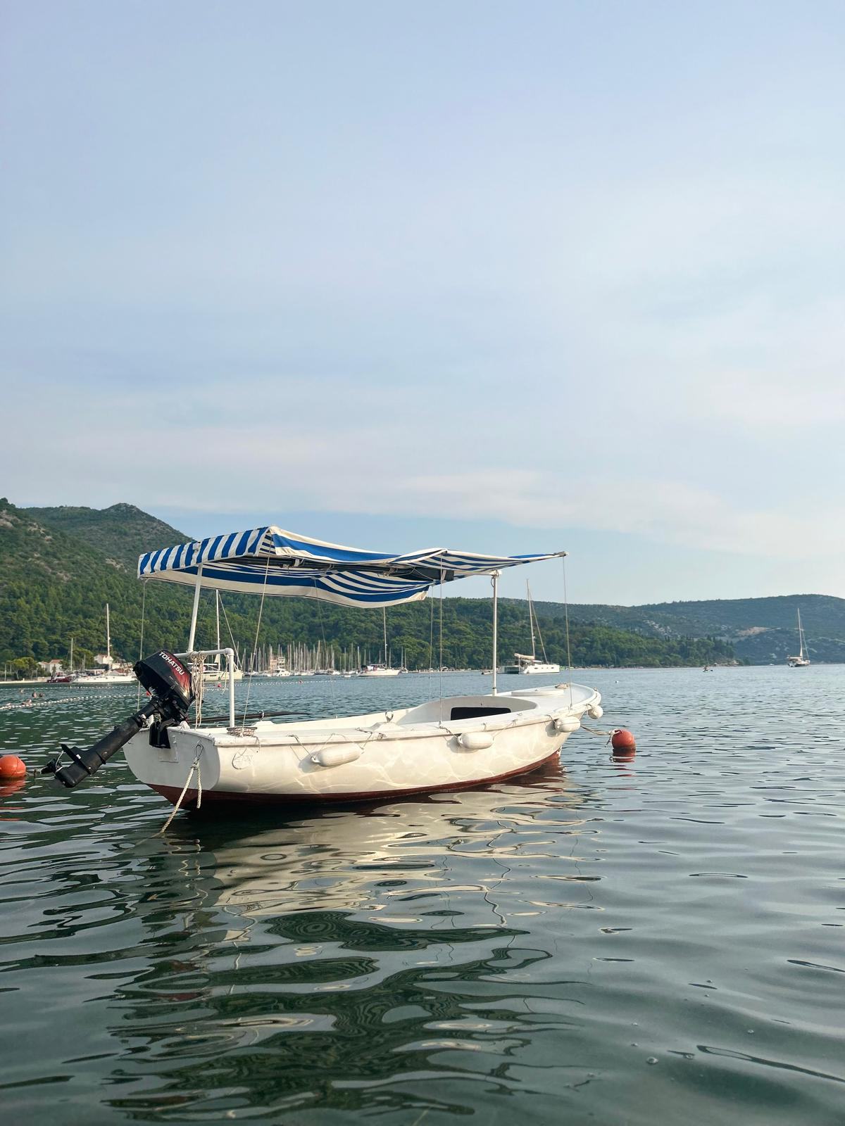 Prodajem barku pasaru