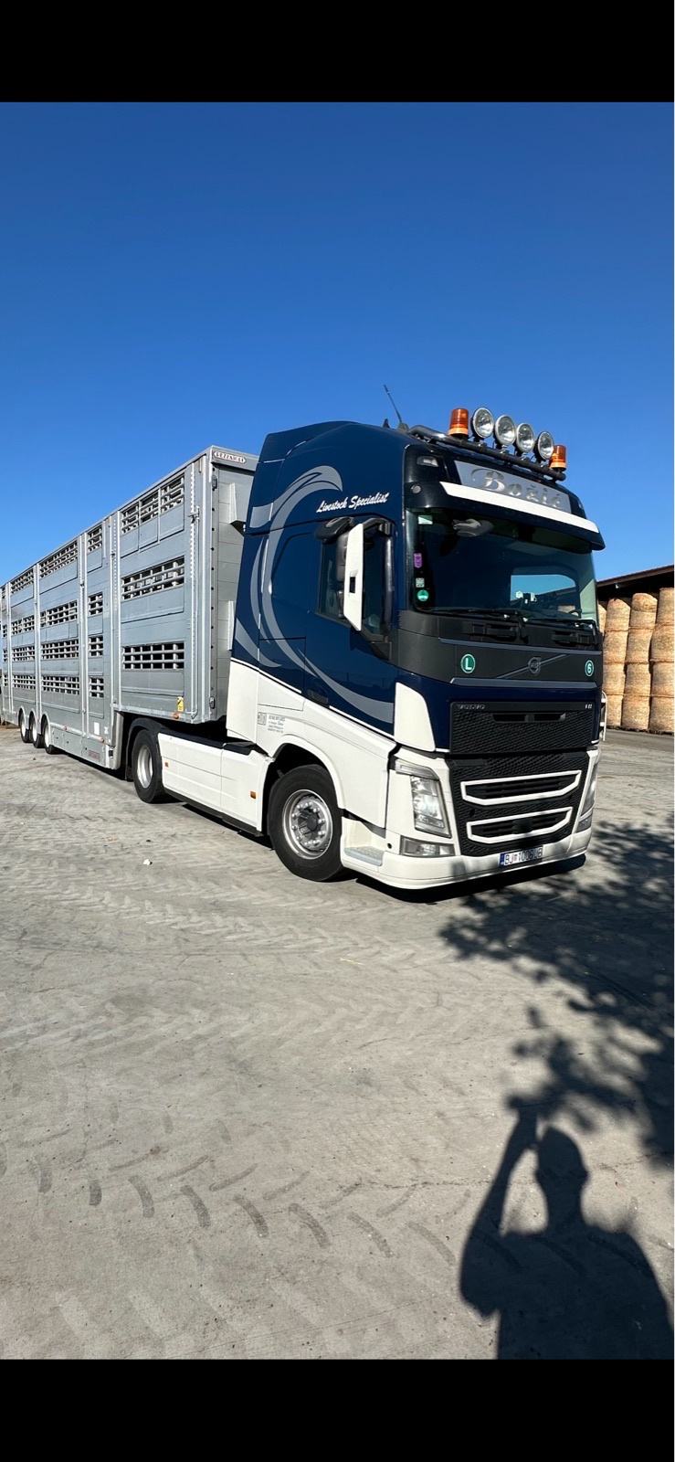 Stocar Volvo, 2016 god.