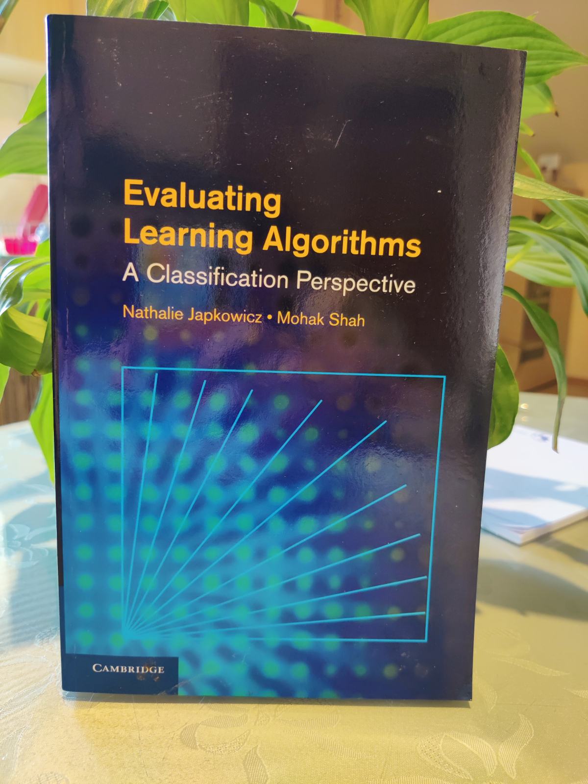Evaluating Learning Algorithms - A Classification Perspective