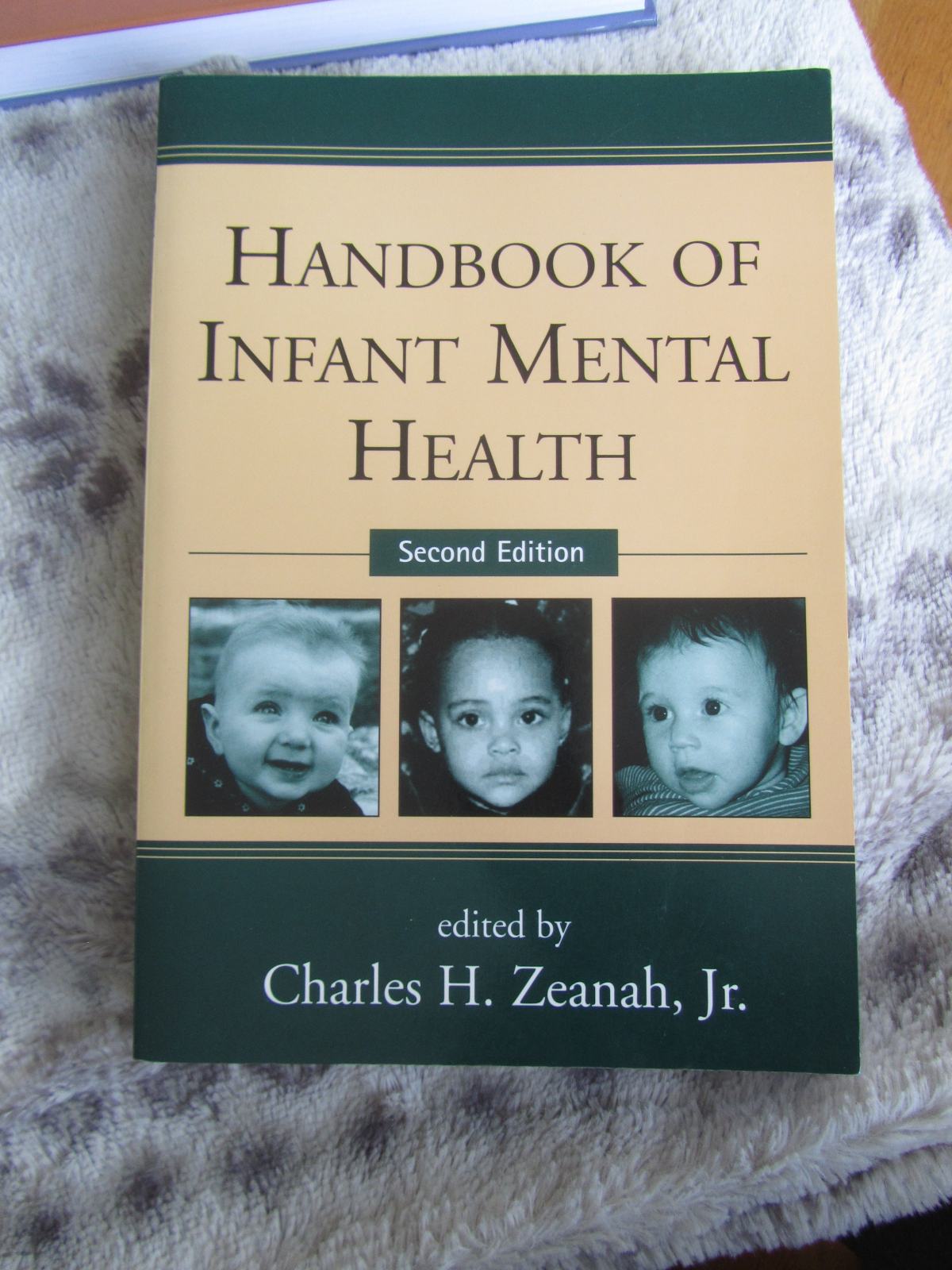 Handbook Infant Mental Health/Second Edition (NOVO)
