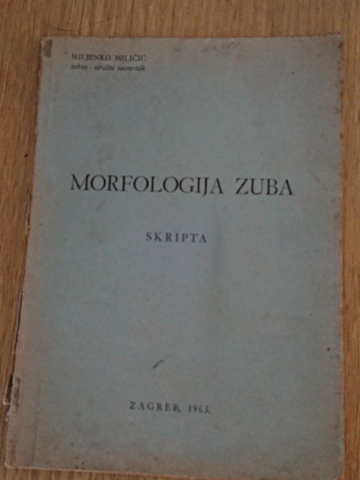 morfologija zuba