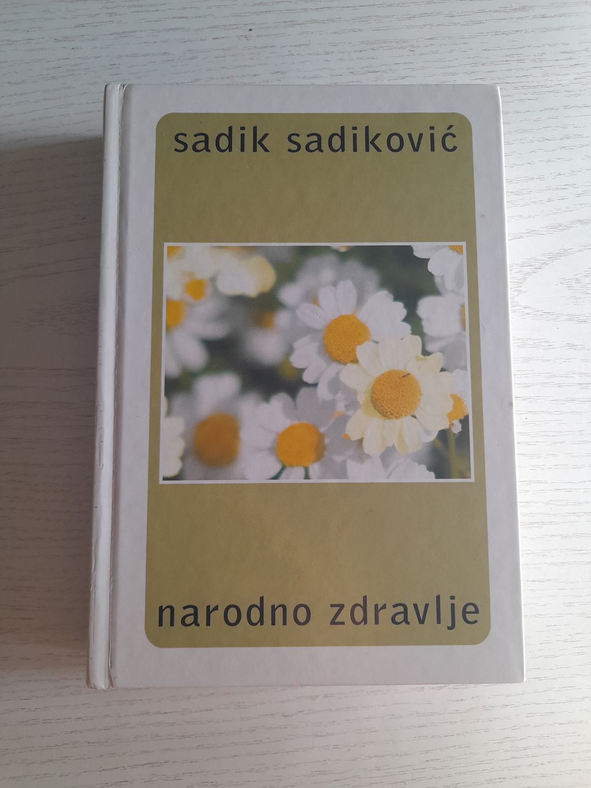 Sadik Sadiković-Narodno zdravlje (2013.)