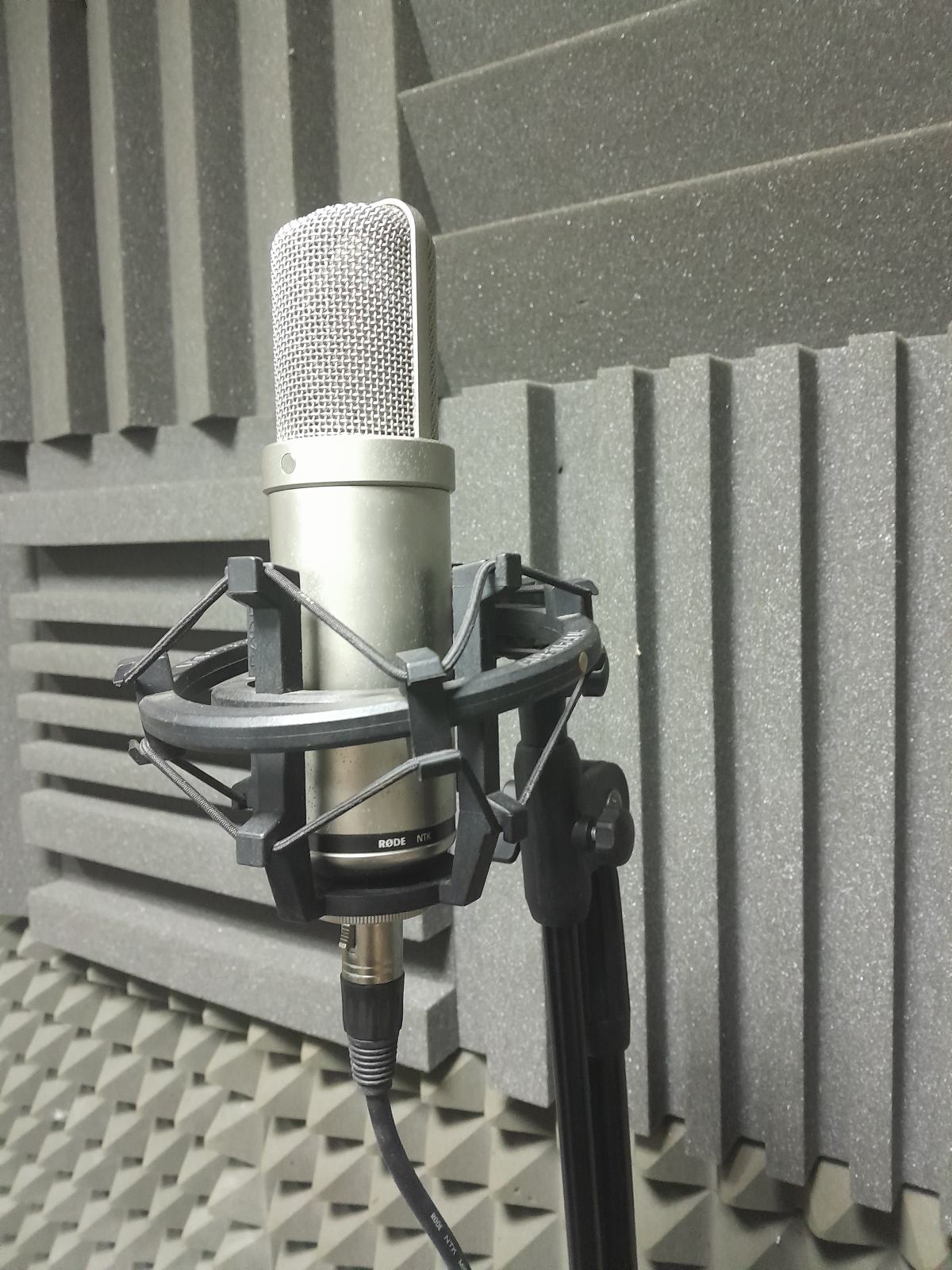 Rode NTK