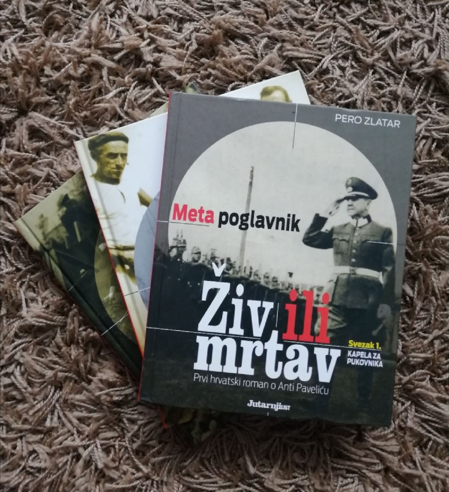 meta poglavnik knjige