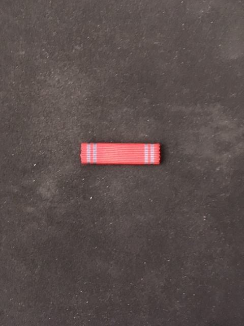 ZAMJENICA MEDALJE ČETRDESET GODINA JNA, FNRJ/SFRJ