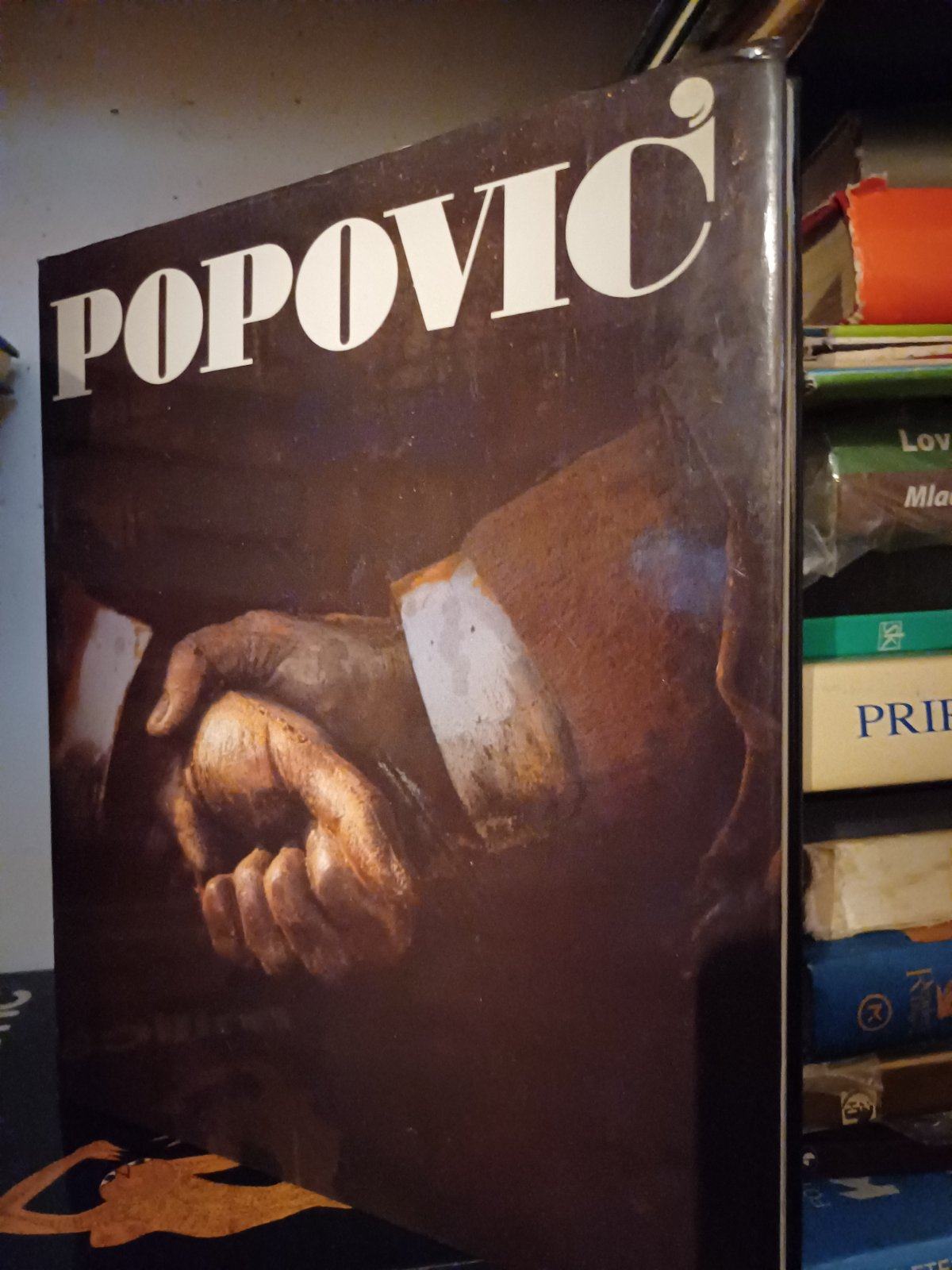 MIĆA POPOVIĆ monografija - Zoran Gavrić