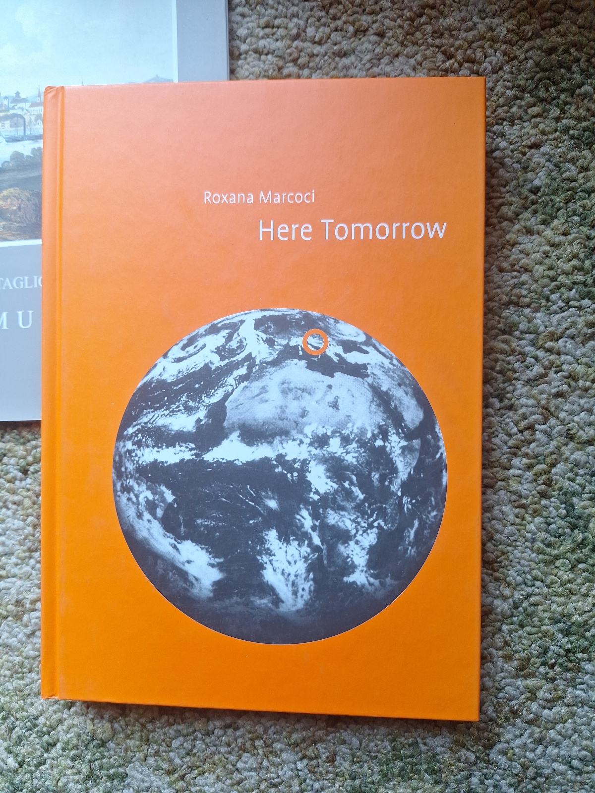 roxana marcoci _ katalog,hwre tomorow