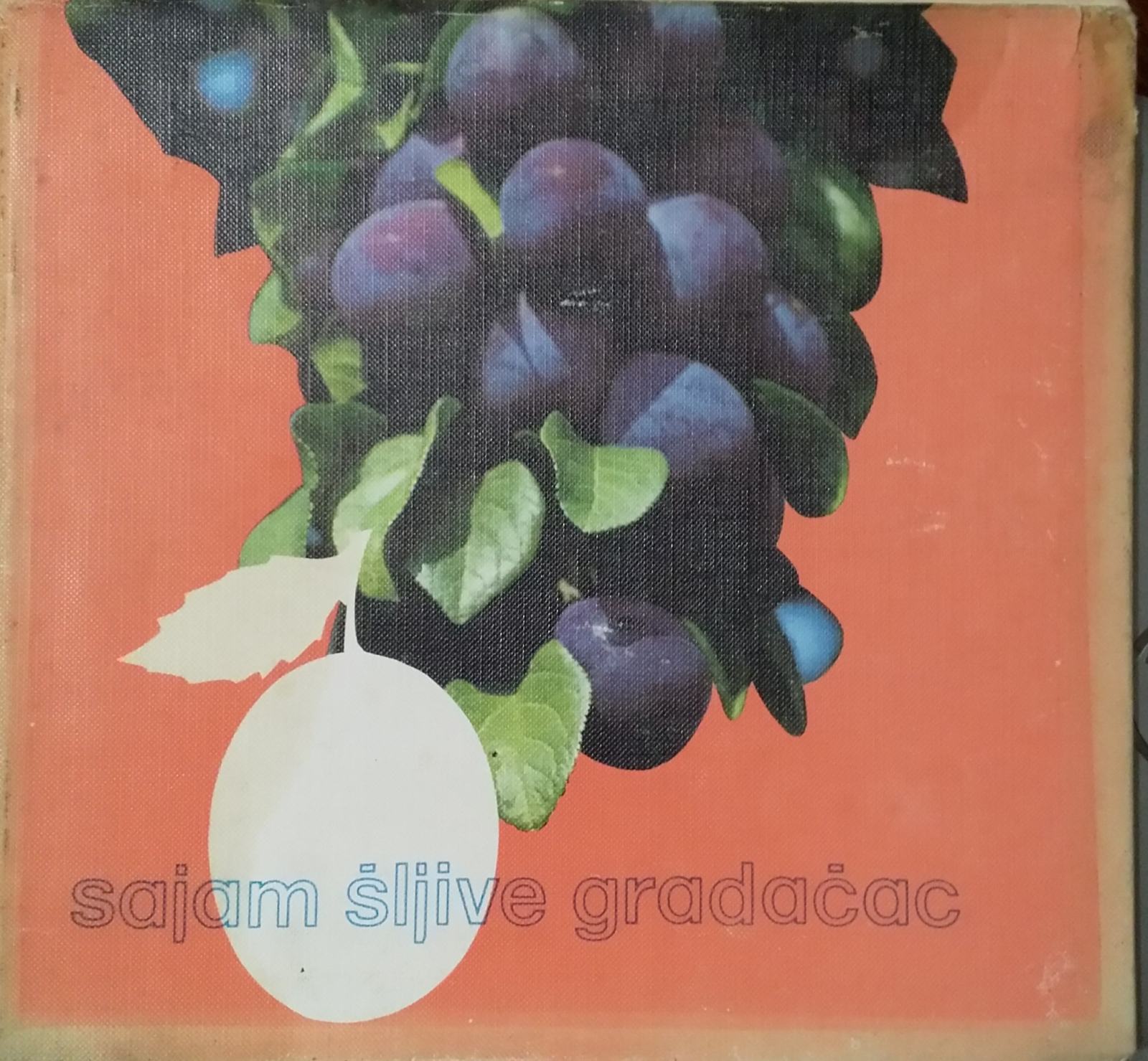 Sajam šljive Gradačac