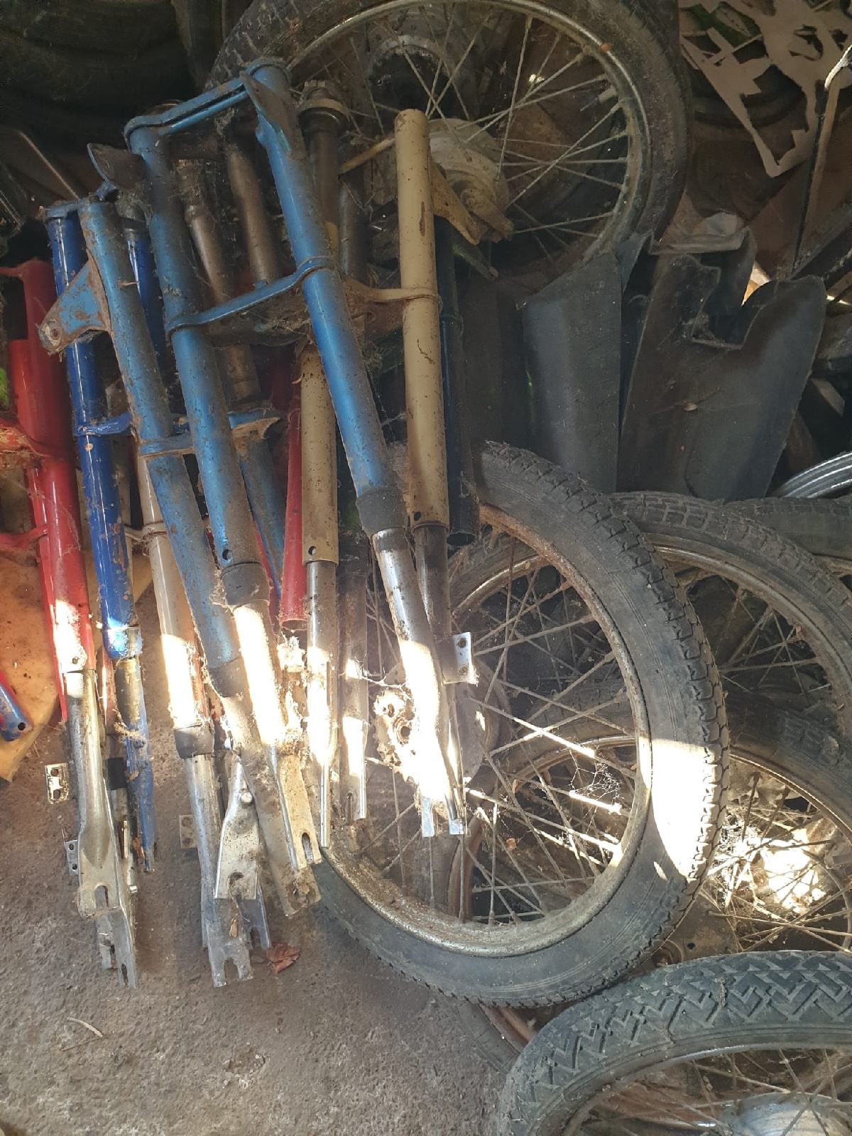 vilica tomos automatic