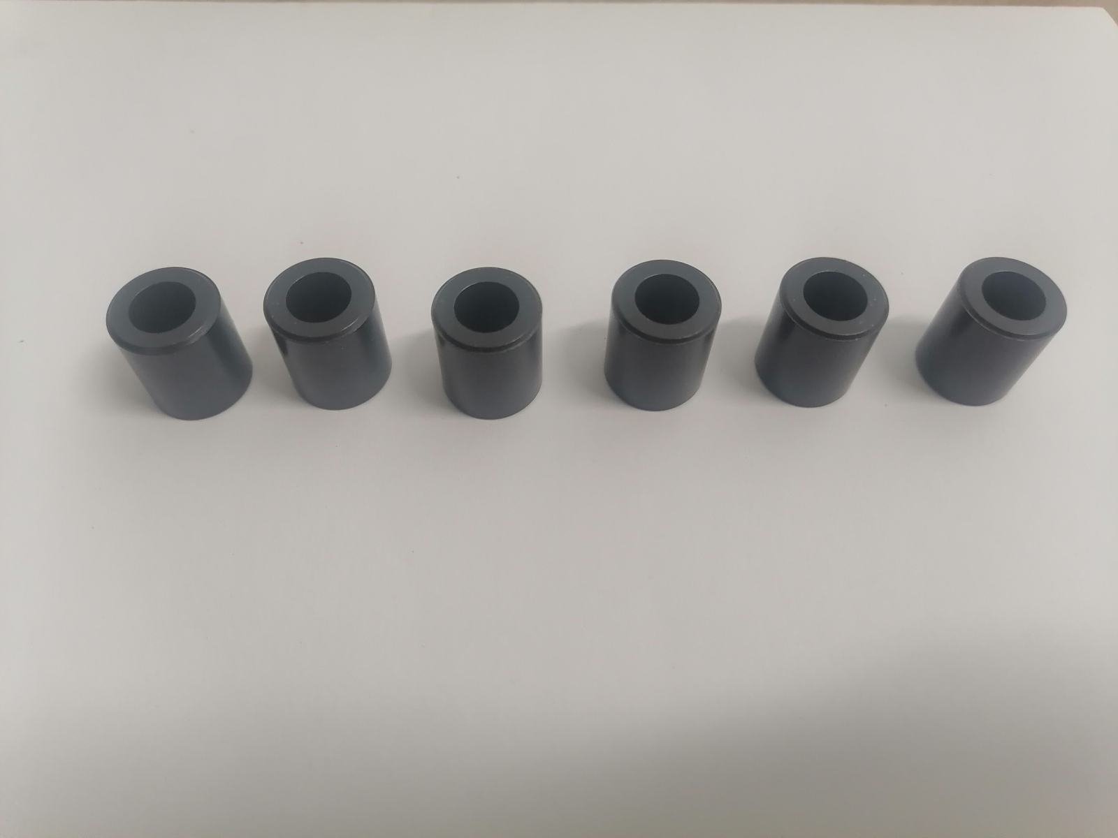 Rolica variomata CAN-AM