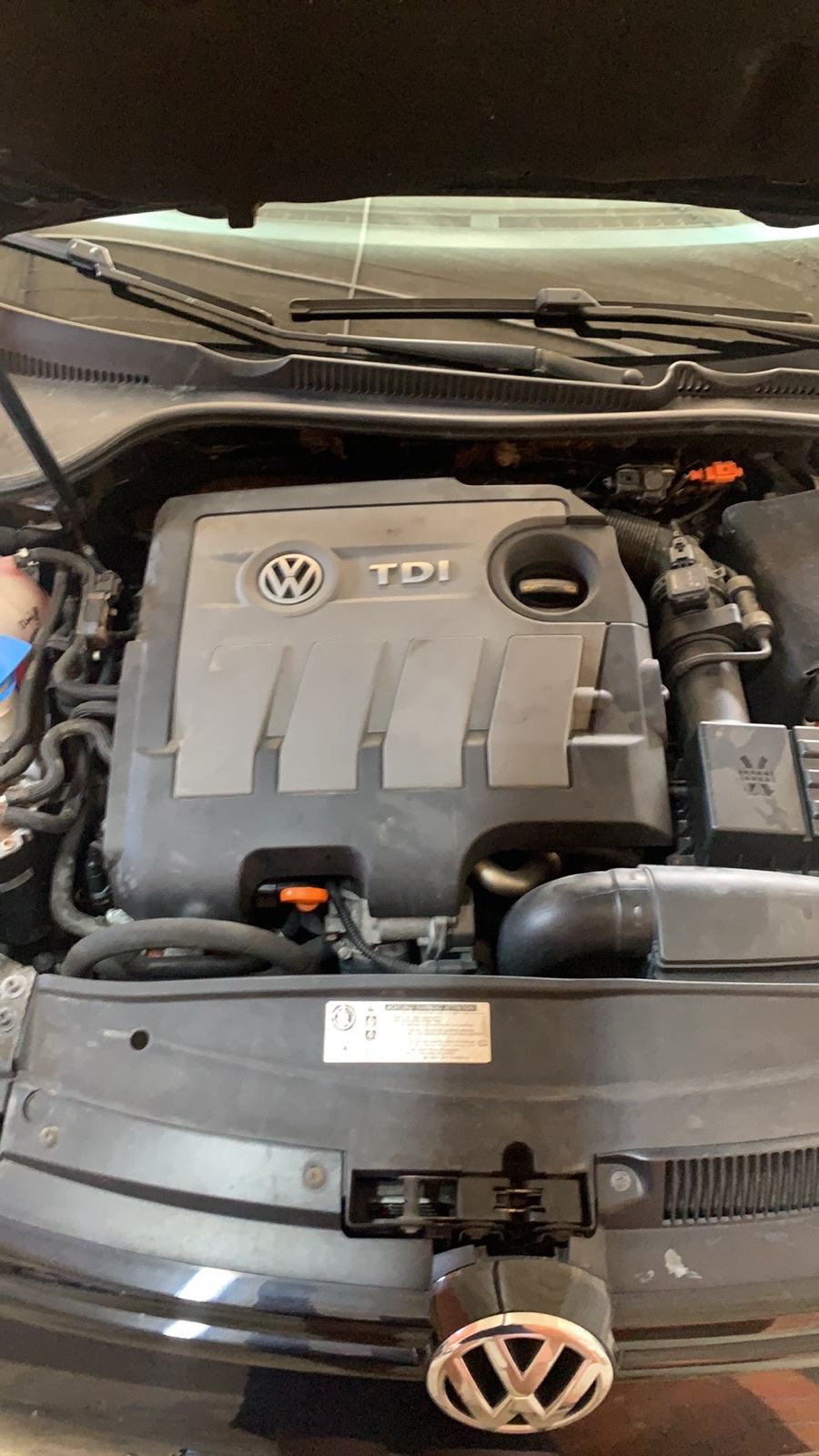 1.6tdi 66kw cayb motor