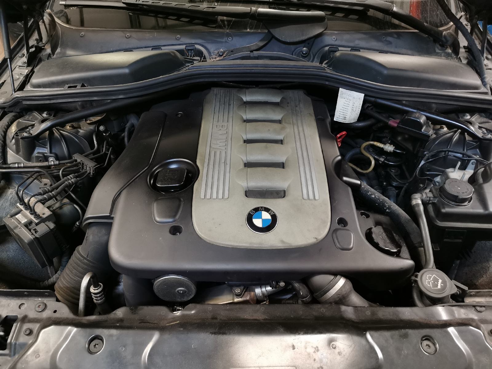 bmw e60 530d m57 MOTOR