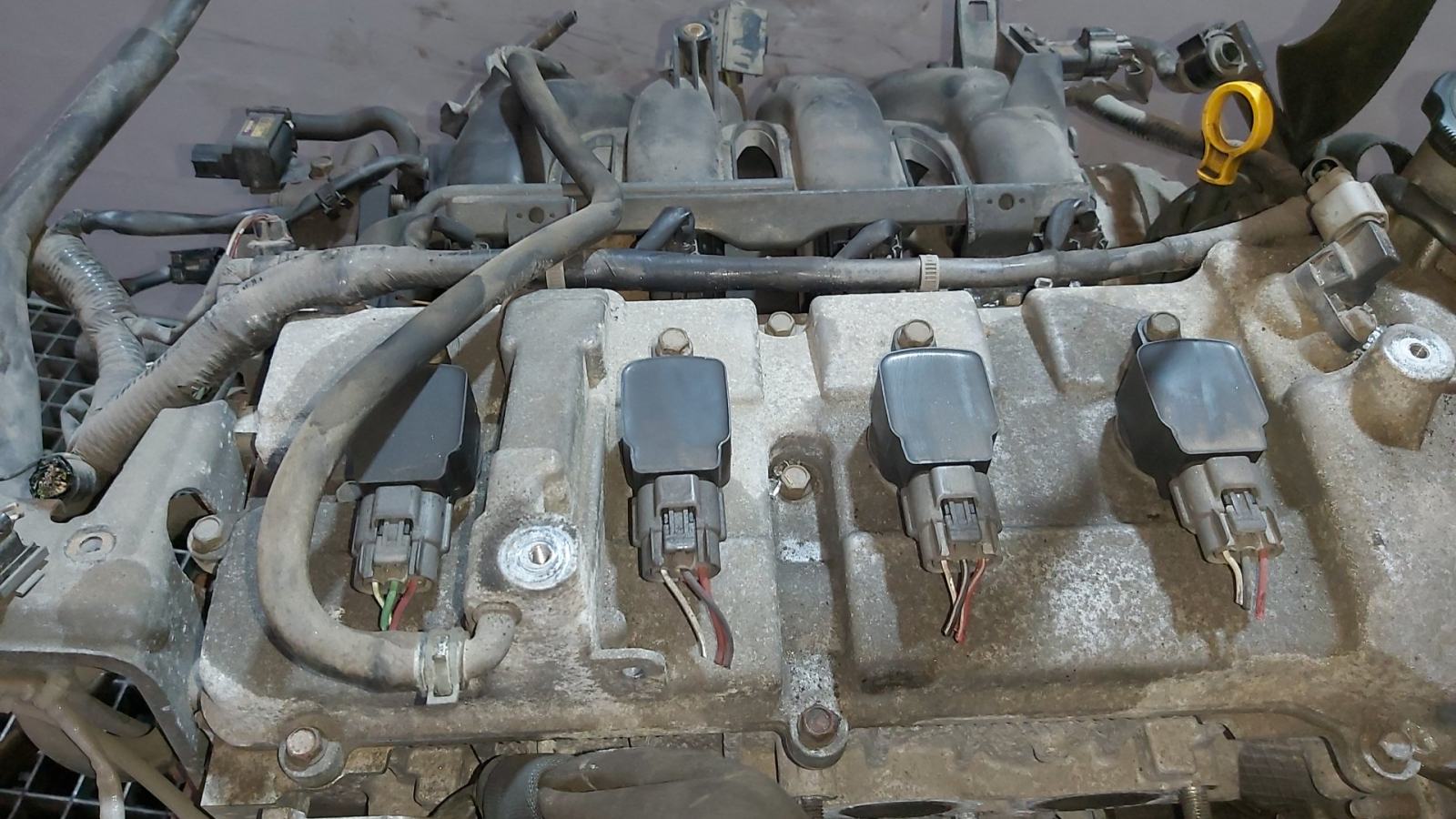 BOMBINA MAZDA 3 > 03-07 AIC4051