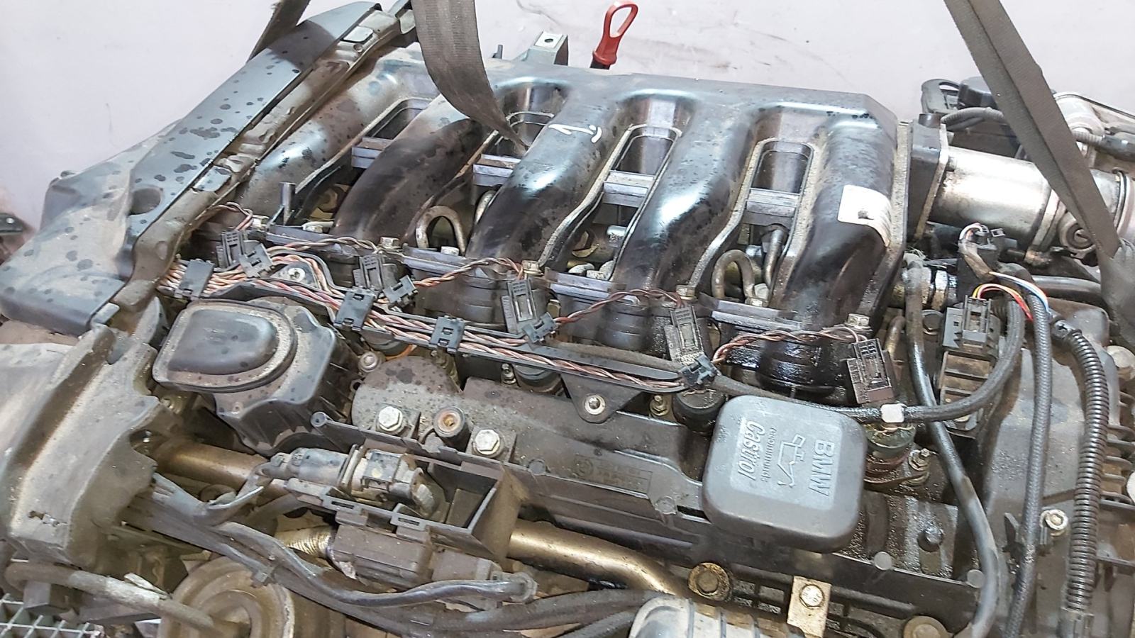 DIZNA BMW SERIJA 5 (E60/E61) > 03-07 0445110219