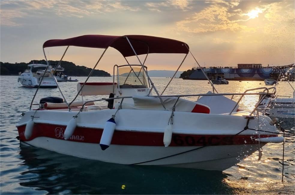 Blumax 19 + Mercury 100