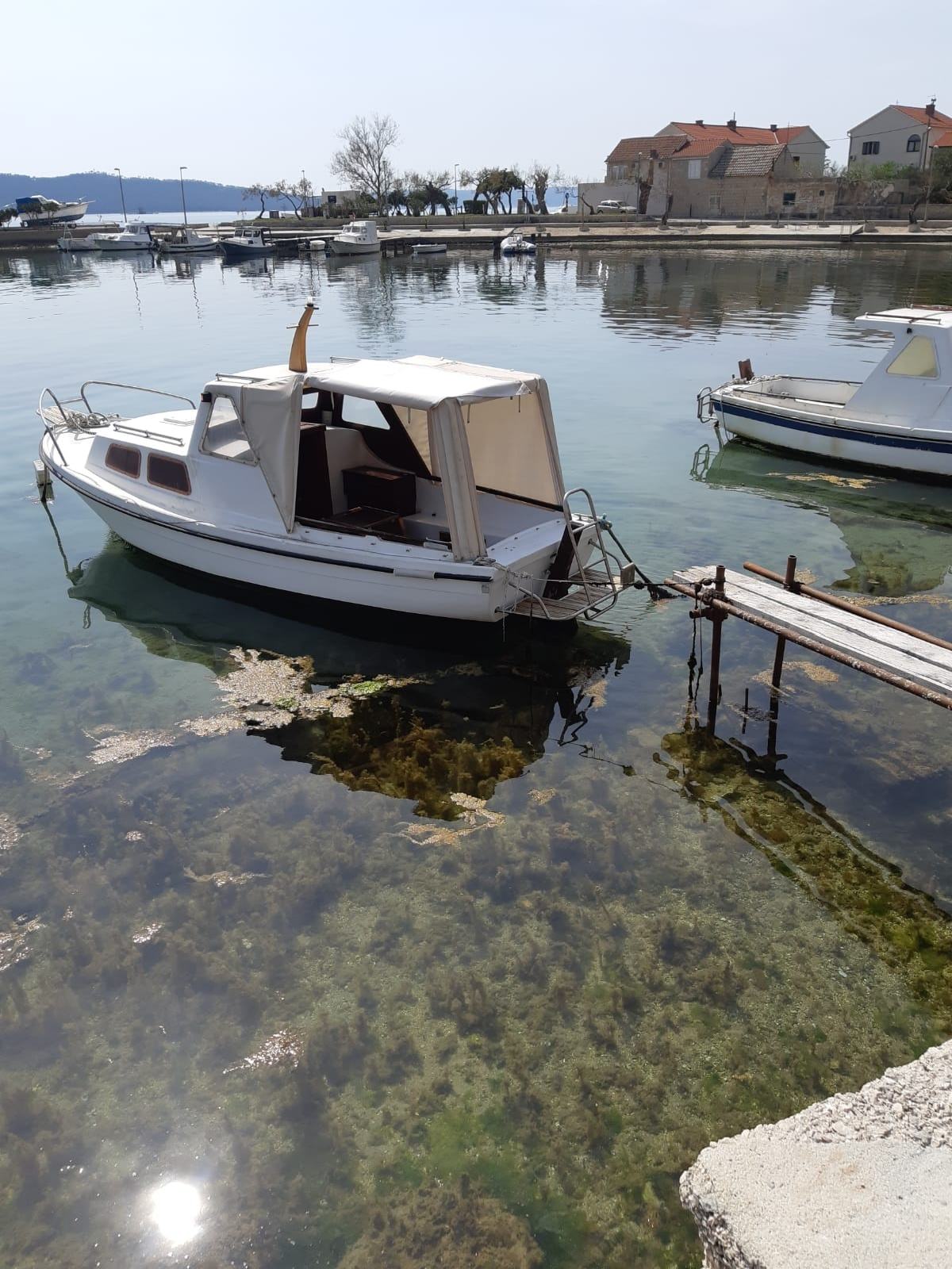 Brod Gradac - Pasara