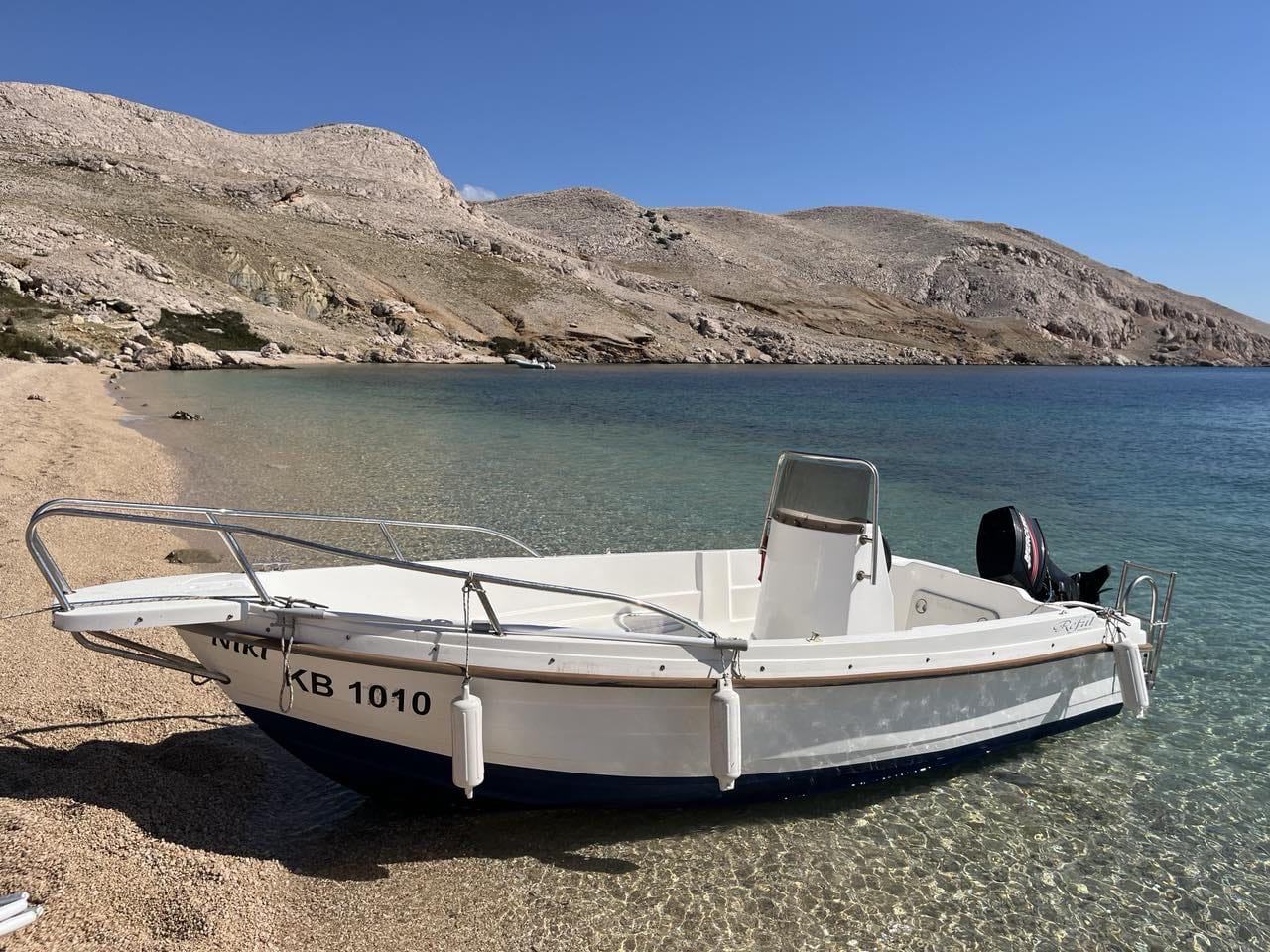 Mercury Raful 490 Open