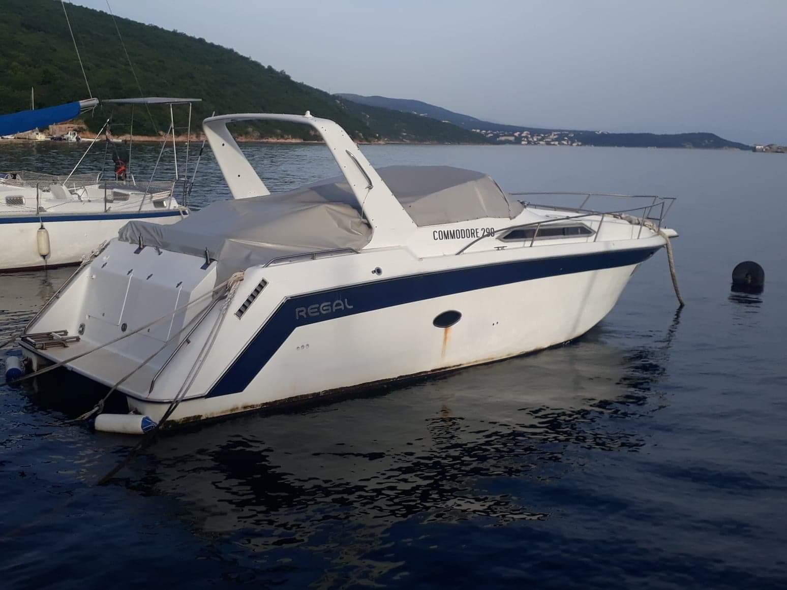 Regal Commodore 290